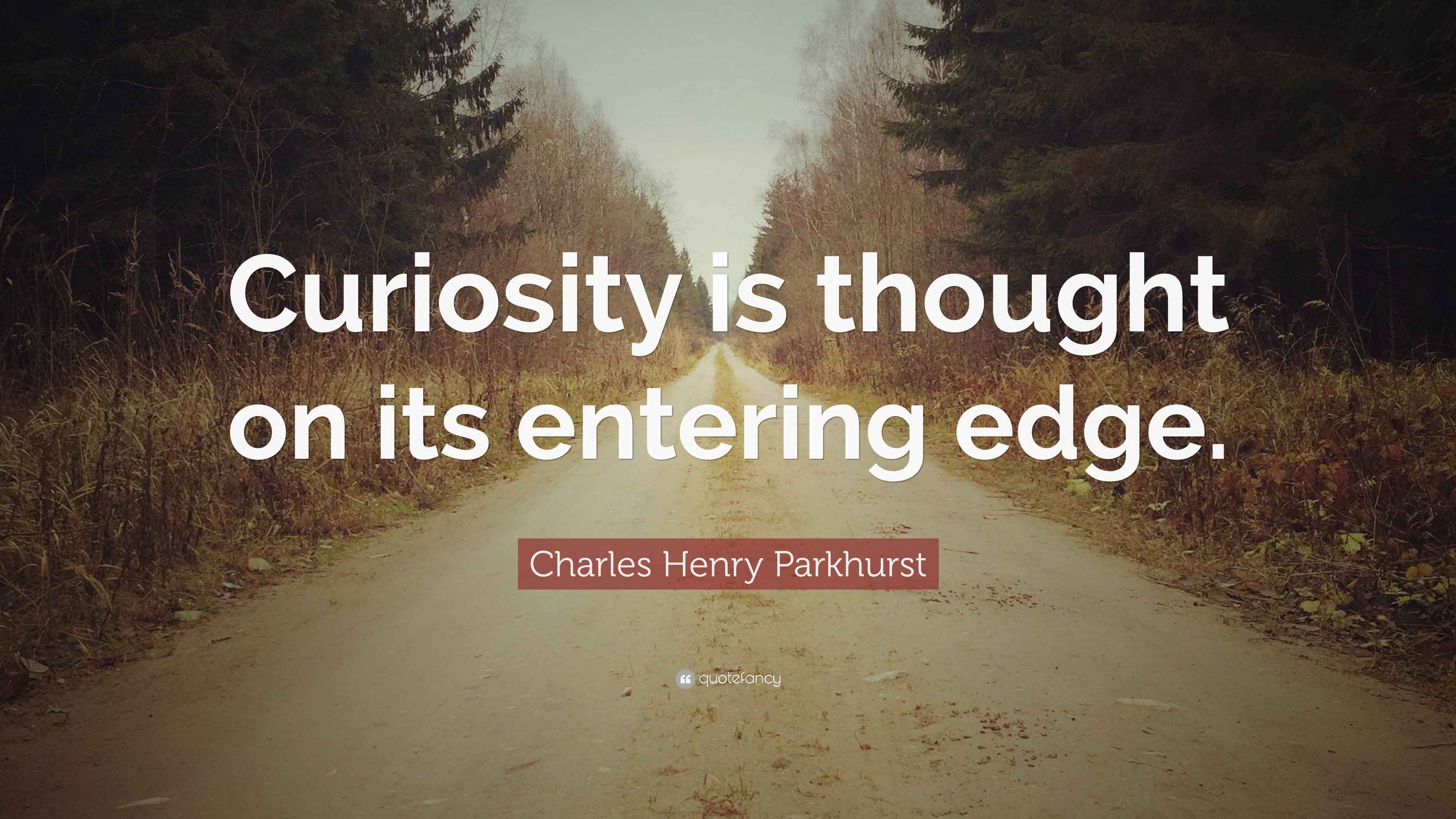 Charles Henry Parkhurst Quote: “Curiosity is thought on its entering edge.”