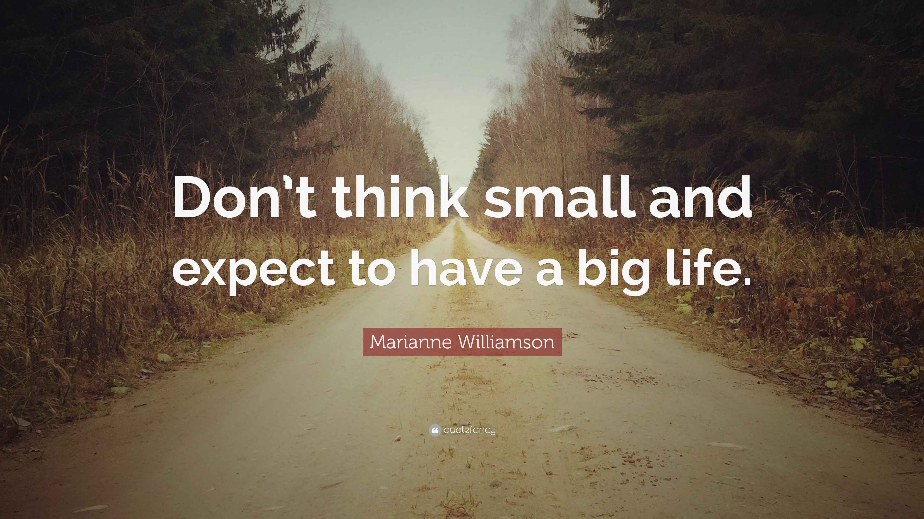 Marianne Williamson Quote: “Don’t think small and expect to have a big ...