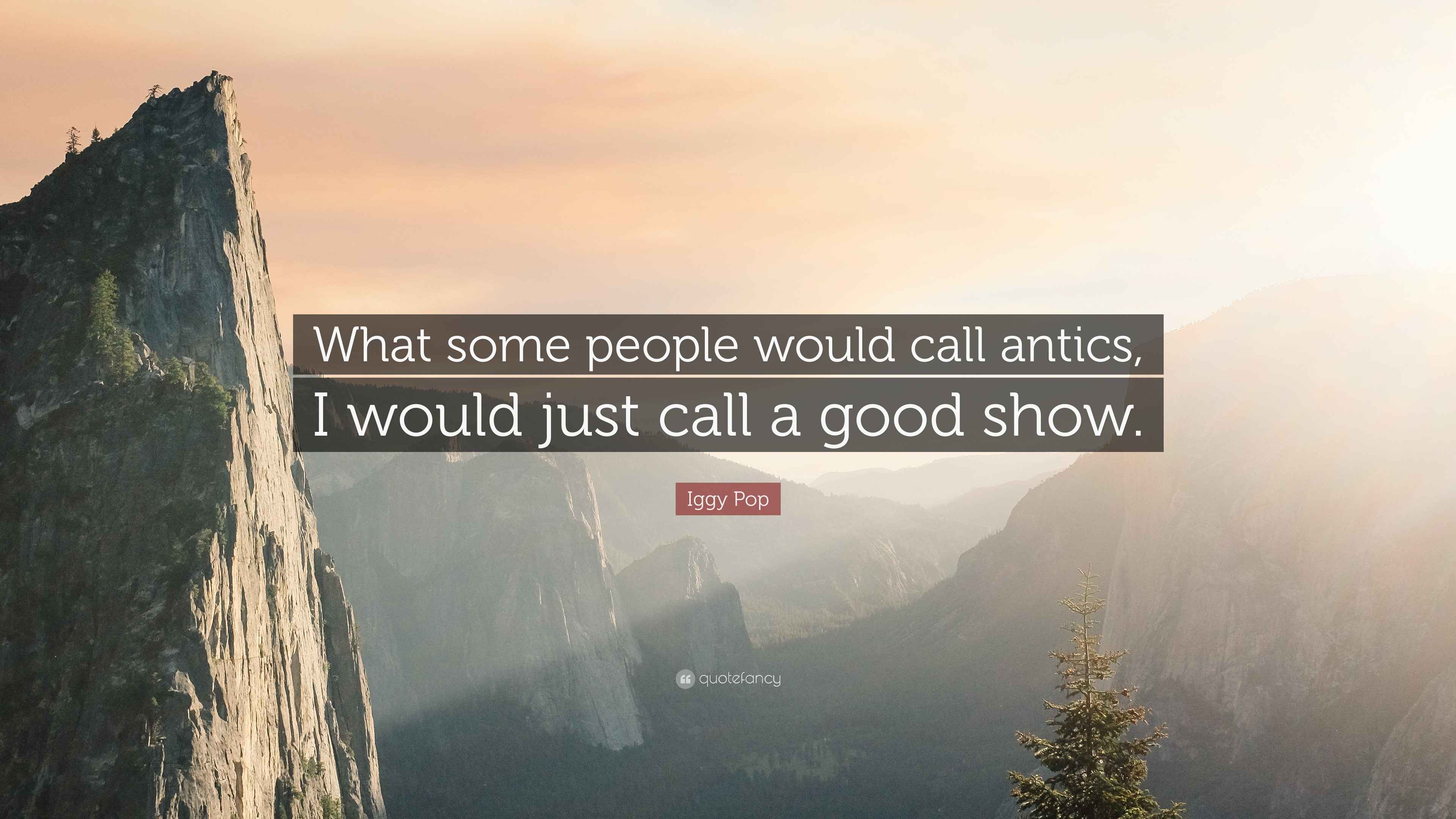 Iggy Pop Quote: “What some people would call antics, I would just call ...