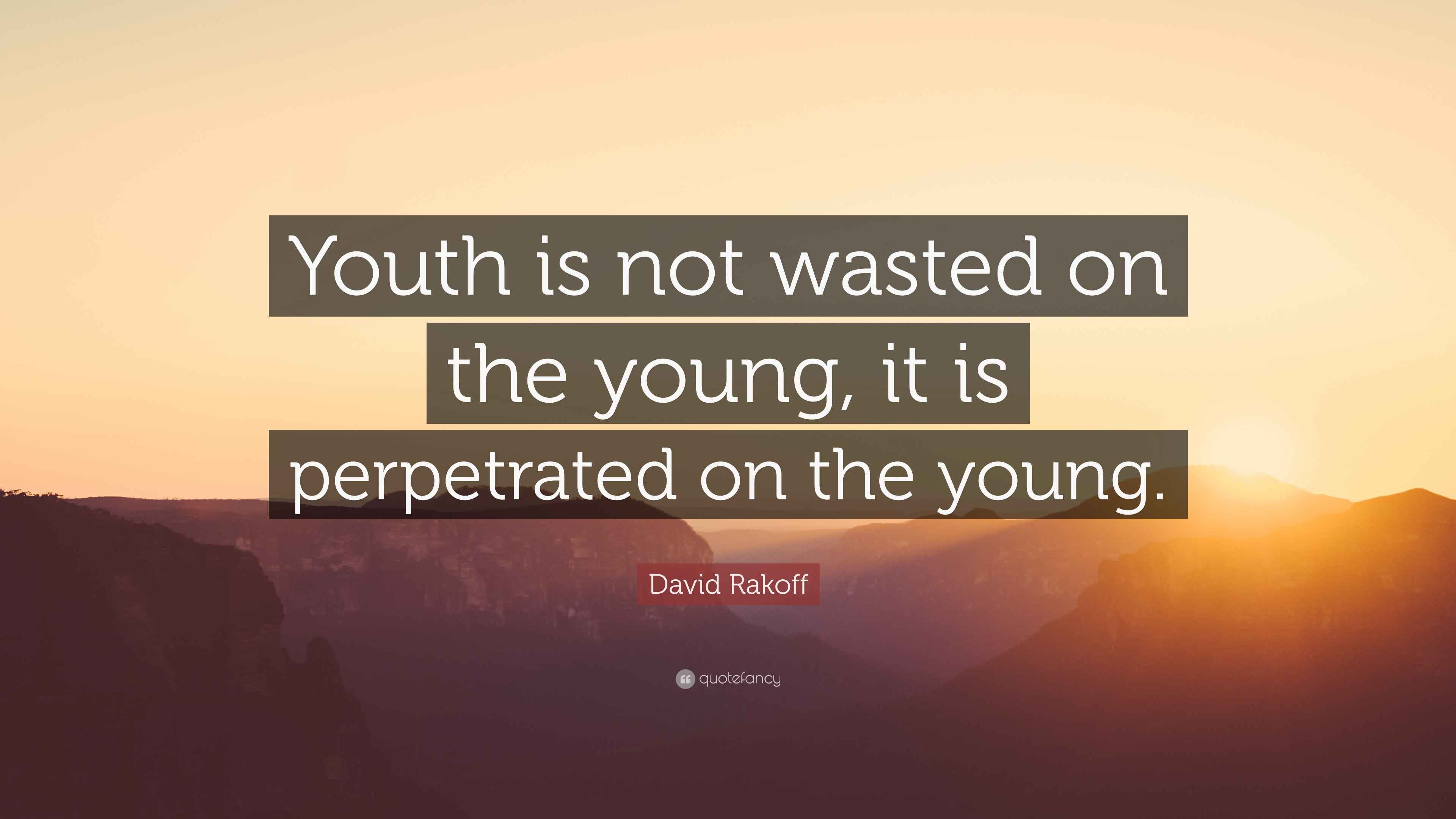David Rakoff Quote: “Youth is not wasted on the young, it is ...