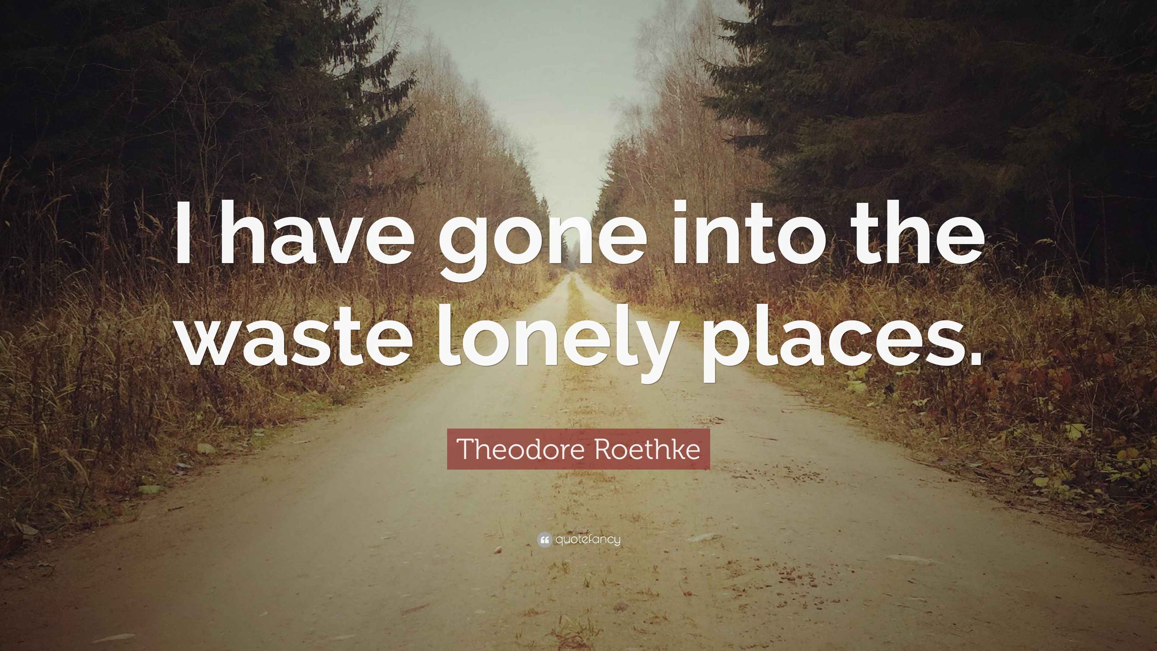 Theodore Roethke Quote: “I have gone into the waste lonely places.”