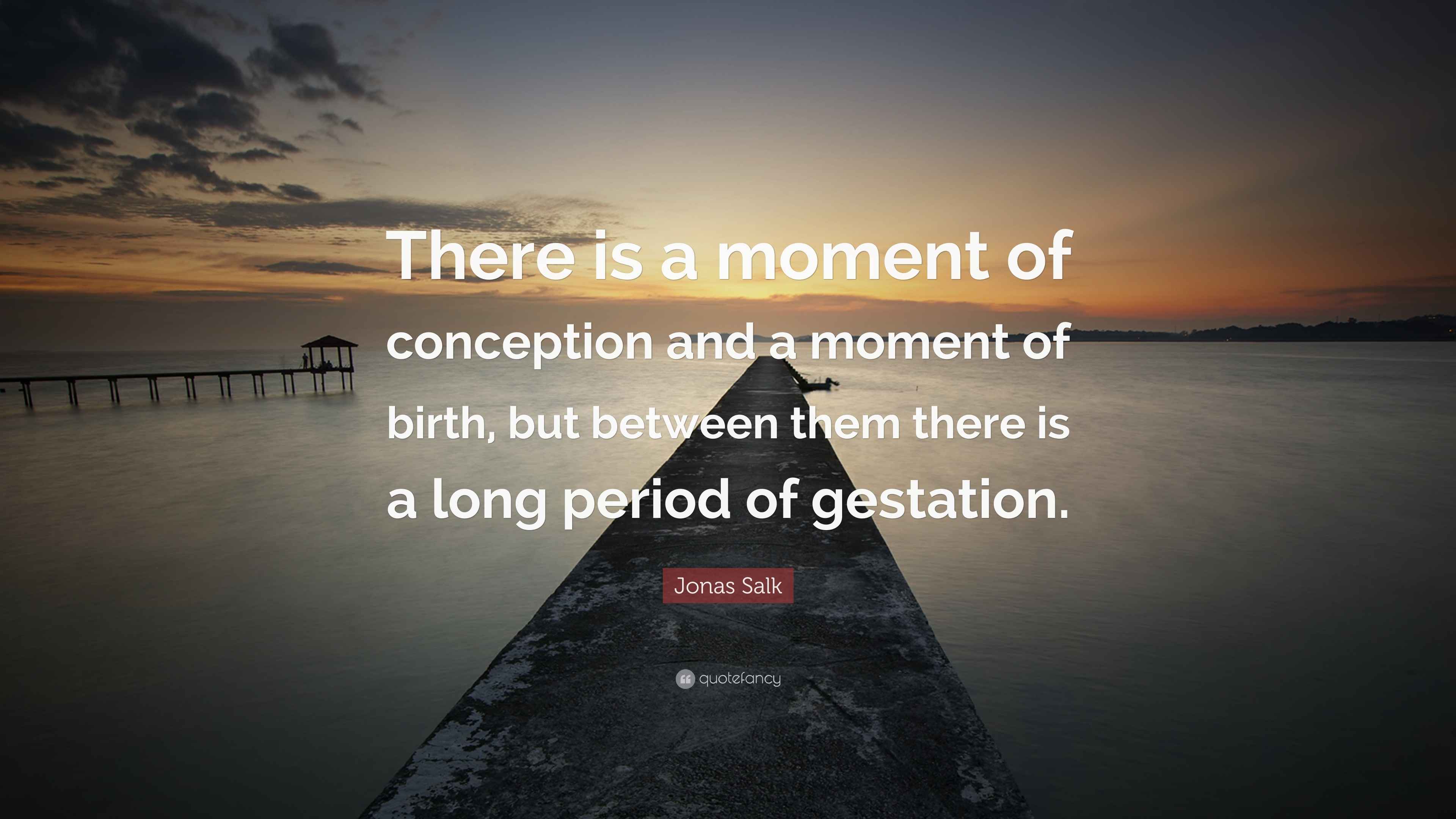 Jonas Salk Quote: “There is a moment of conception and a moment of ...
