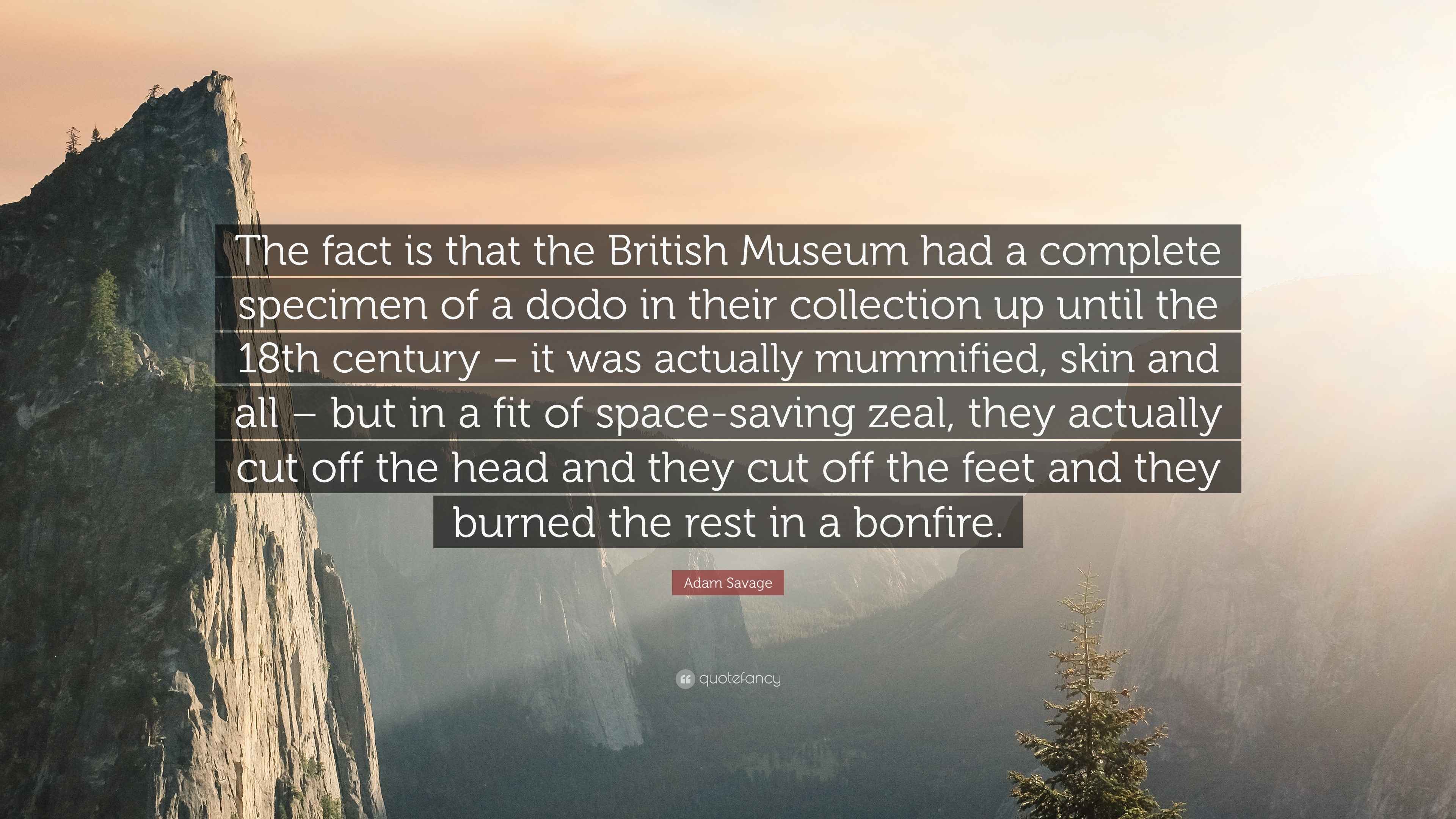 Adam Savage Quote: “The fact is that the British Museum had a complete ...