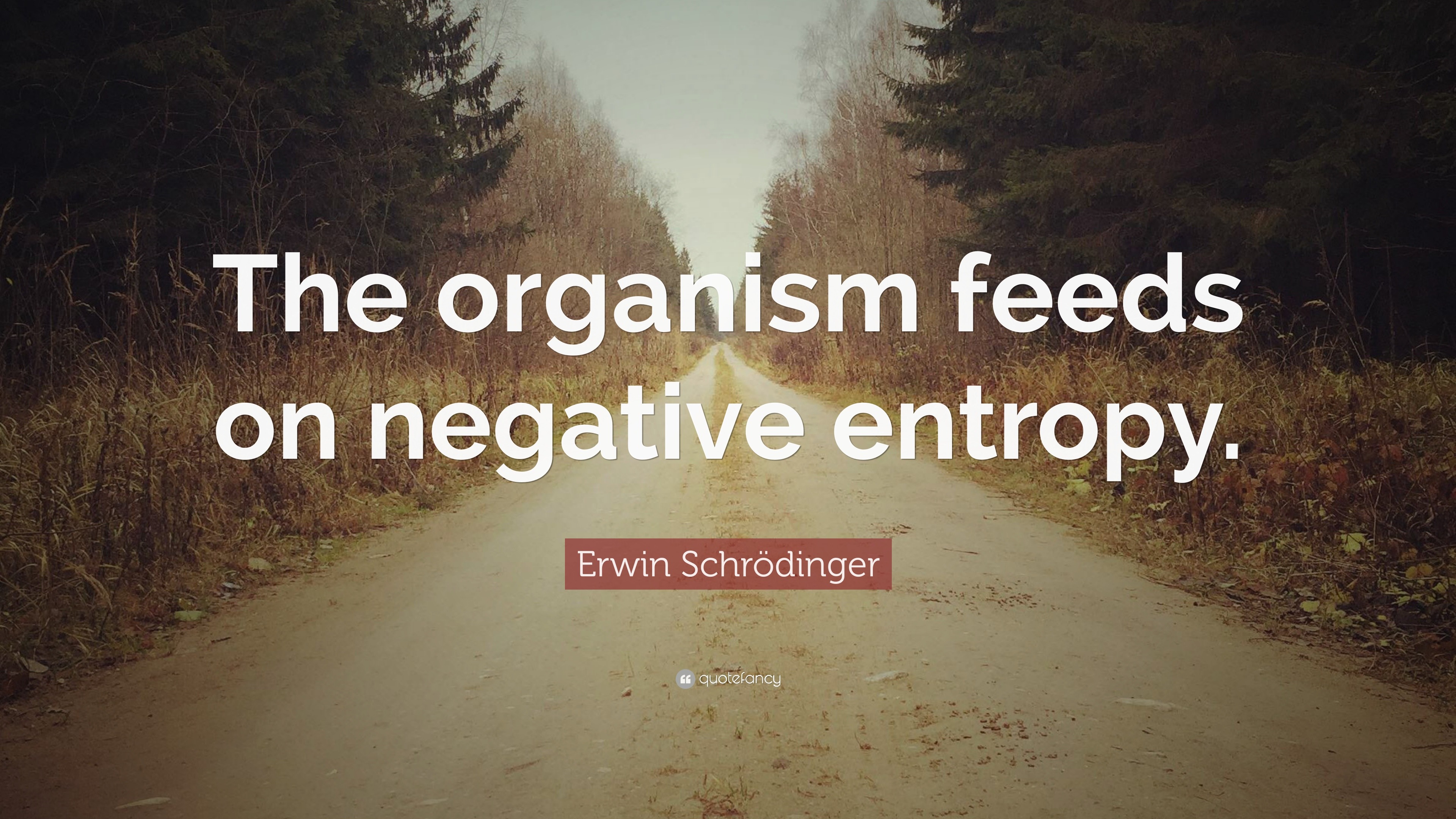 Erwin Schrödinger Quote: “The organism feeds on negative entropy.”