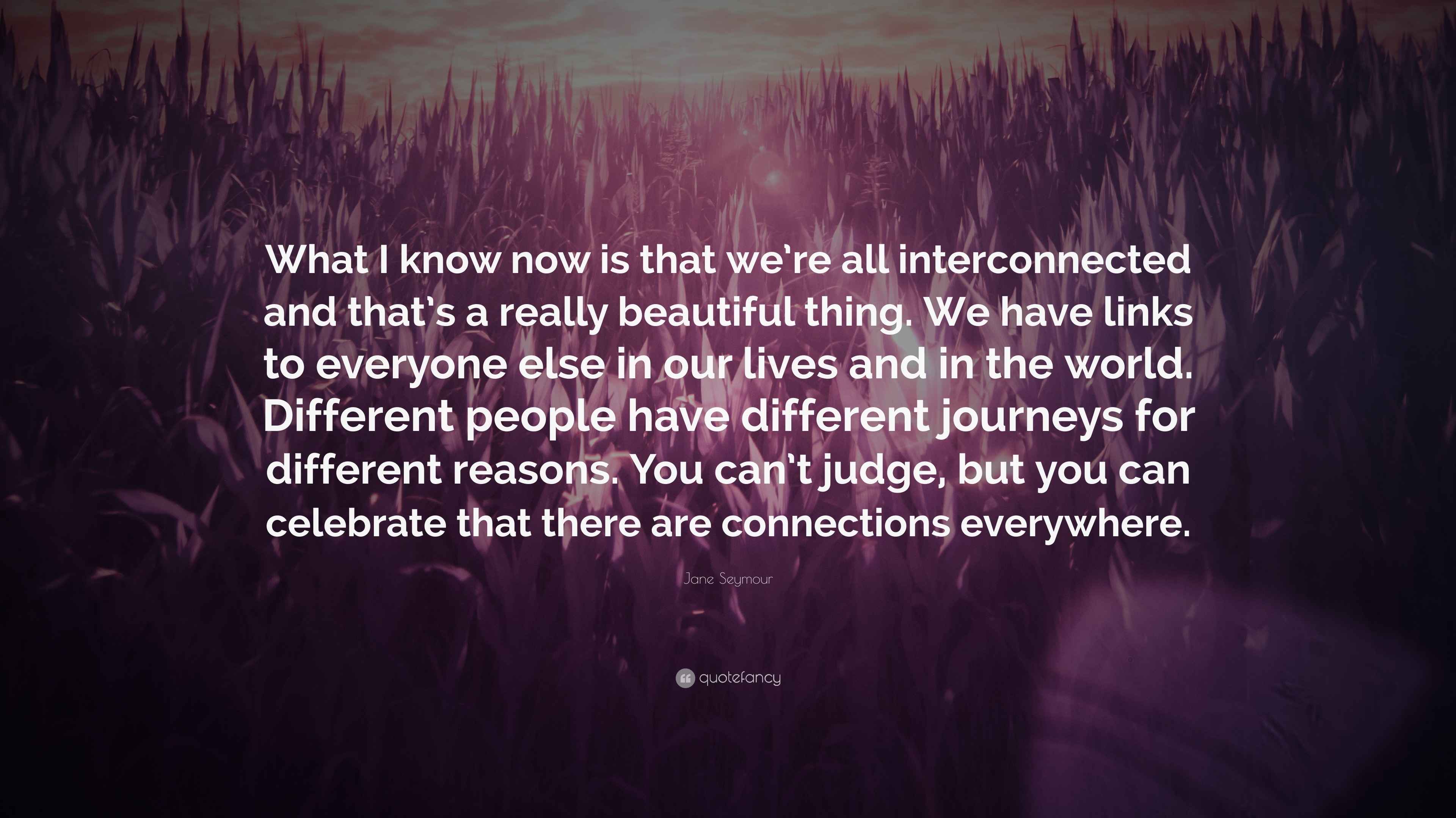 Jane Seymour Quote: “What I know now is that we’re all interconnected ...