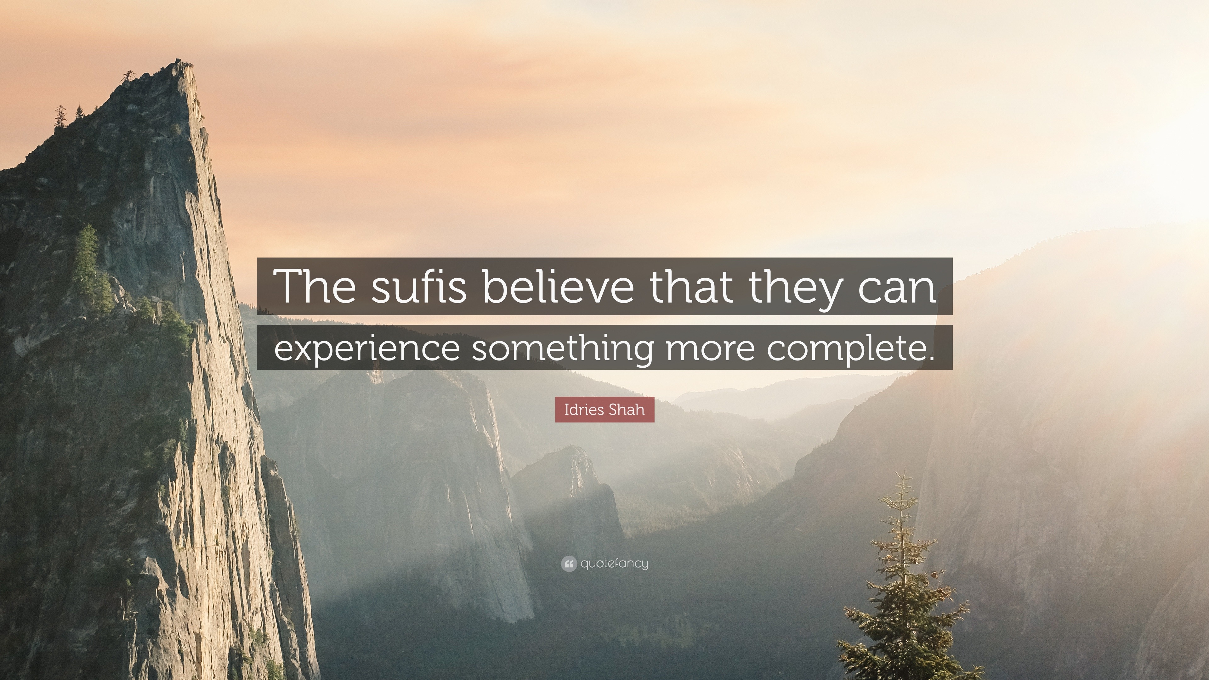 Idries Shah Quote: “The sufis believe that they can experience ...