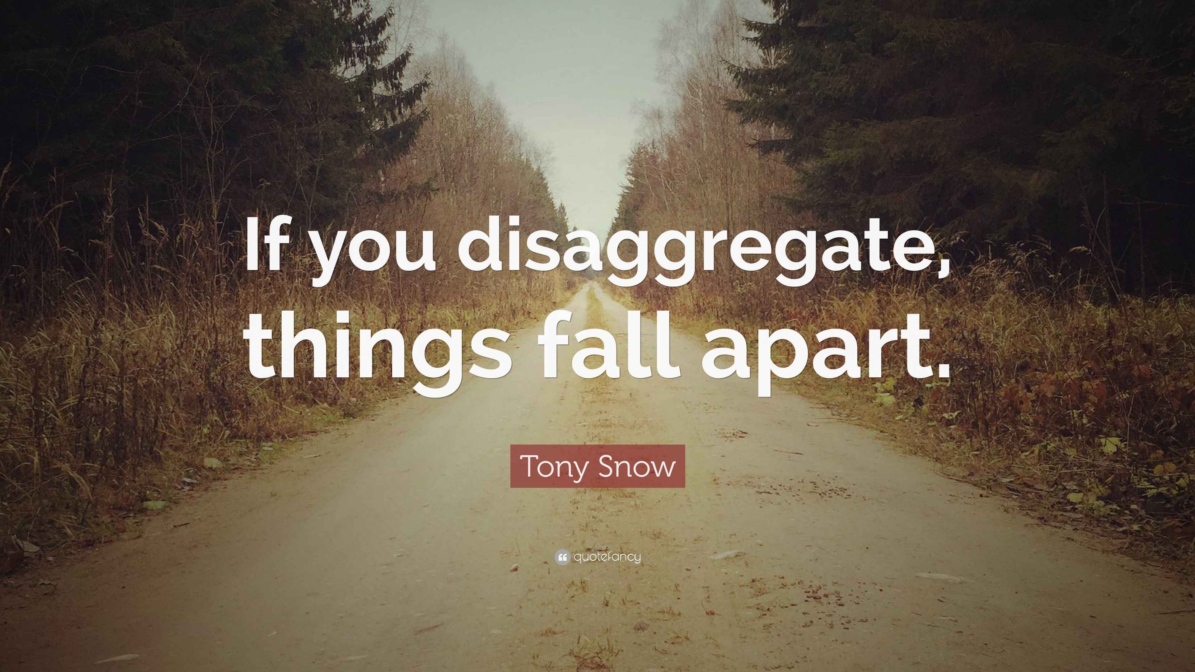 Tony Snow Quote: “If you disaggregate, things fall apart.”