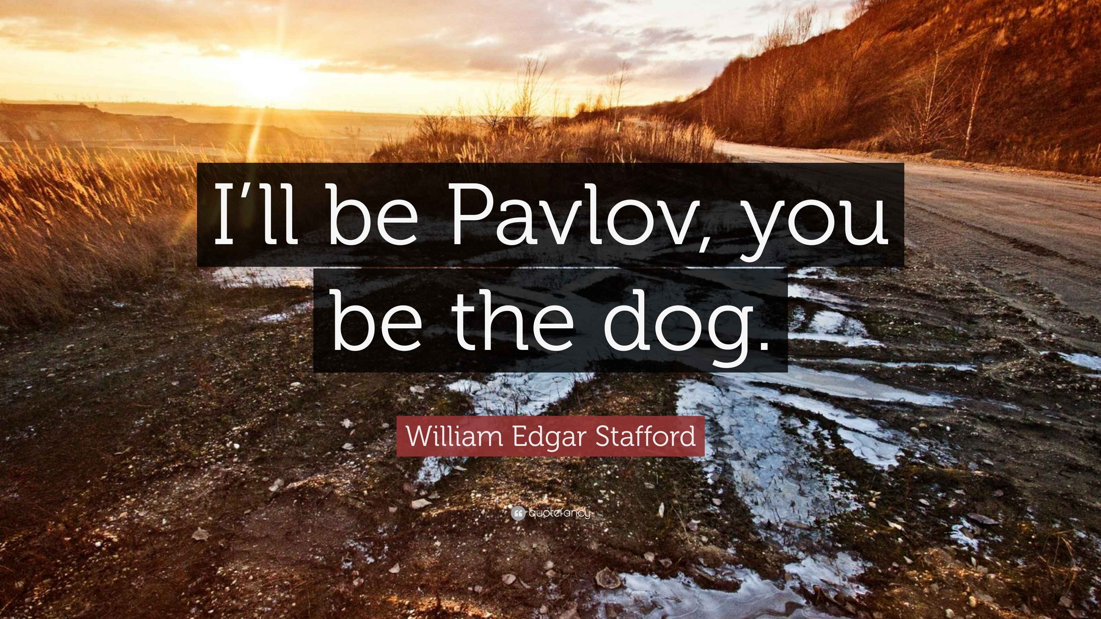 William Edgar Stafford Quote: “I’ll be Pavlov, you be the dog.”