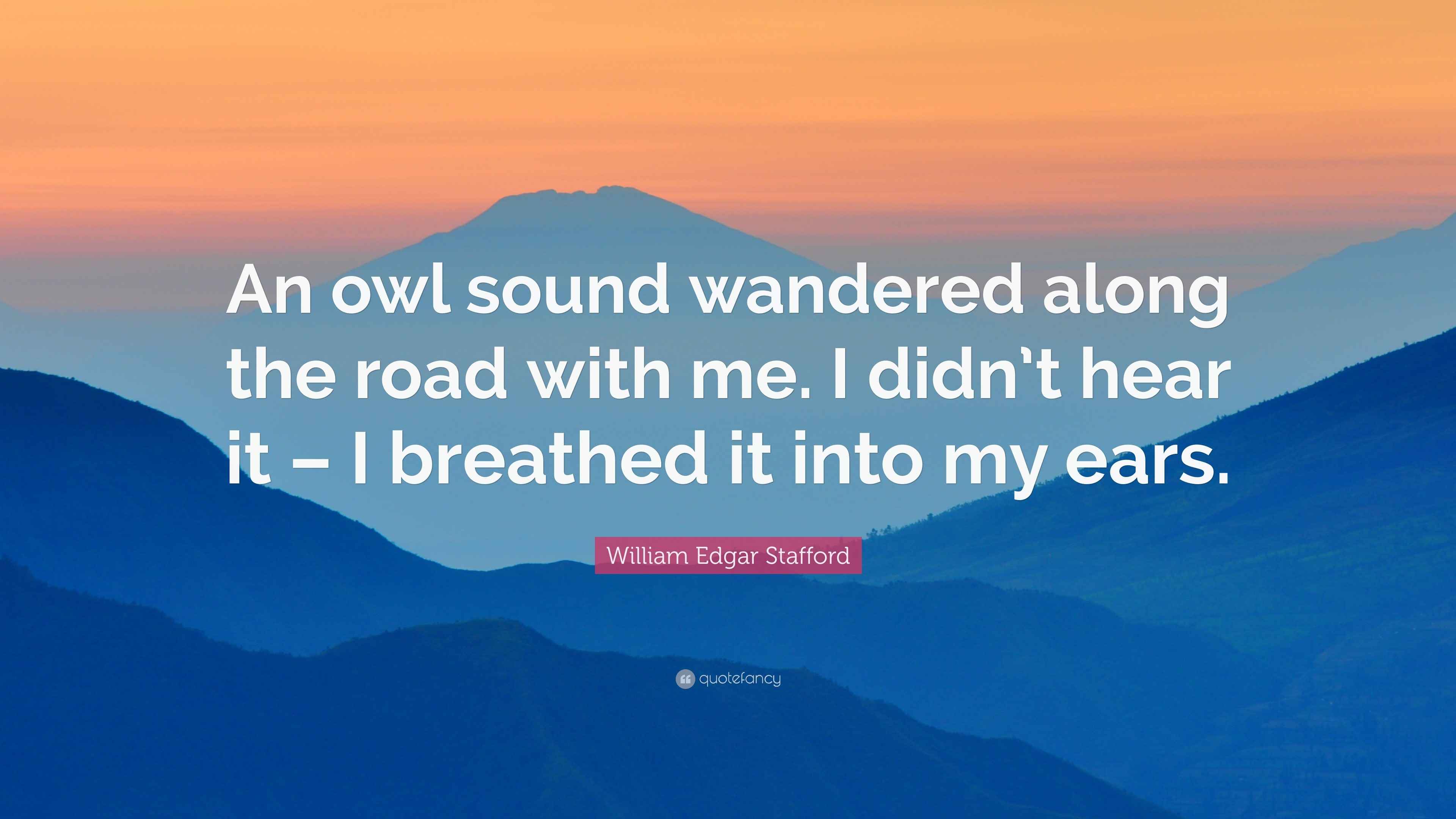 William Edgar Stafford Quote: “An owl sound wandered along the road ...