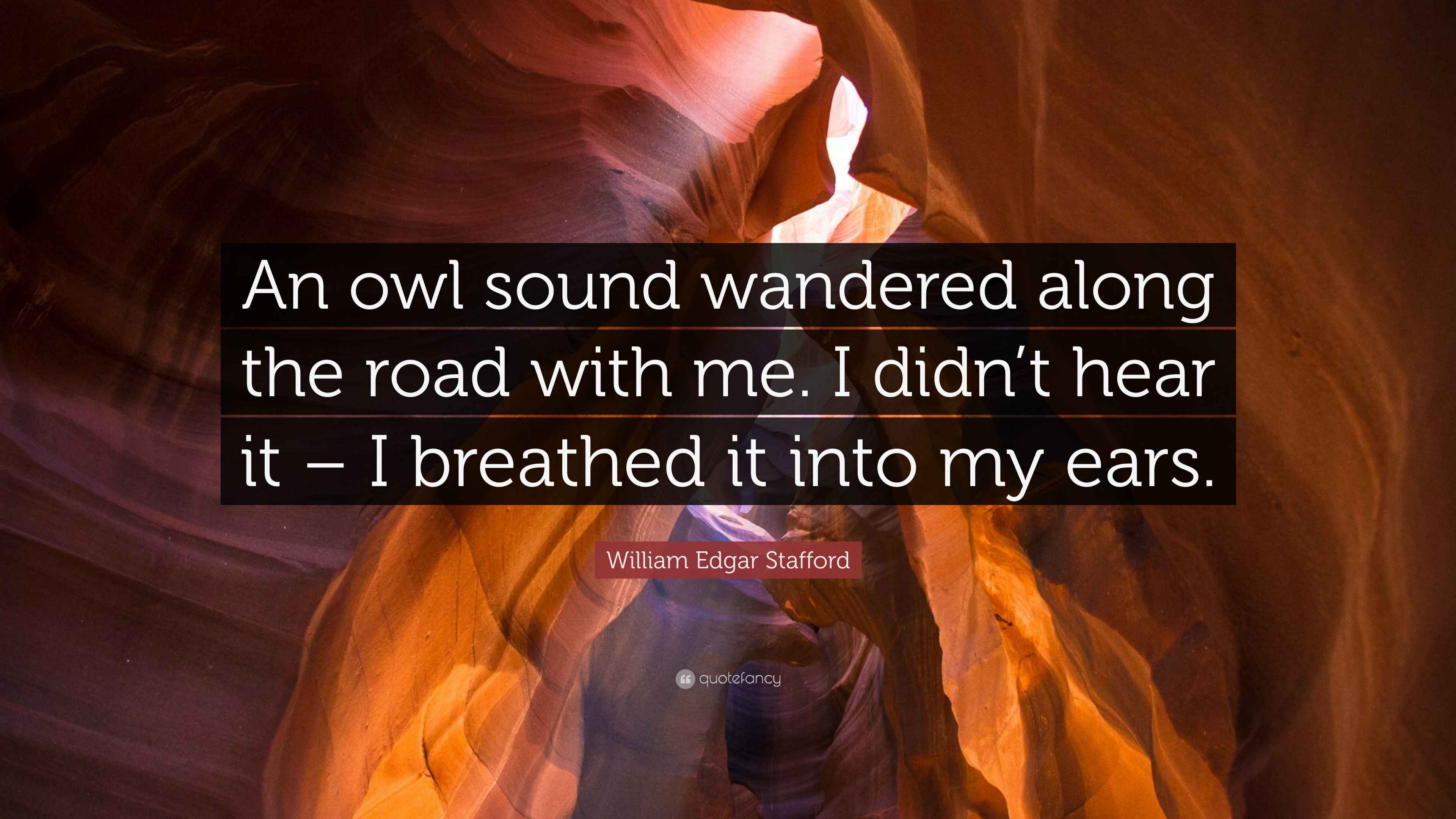 William Edgar Stafford Quote: “An owl sound wandered along the road ...