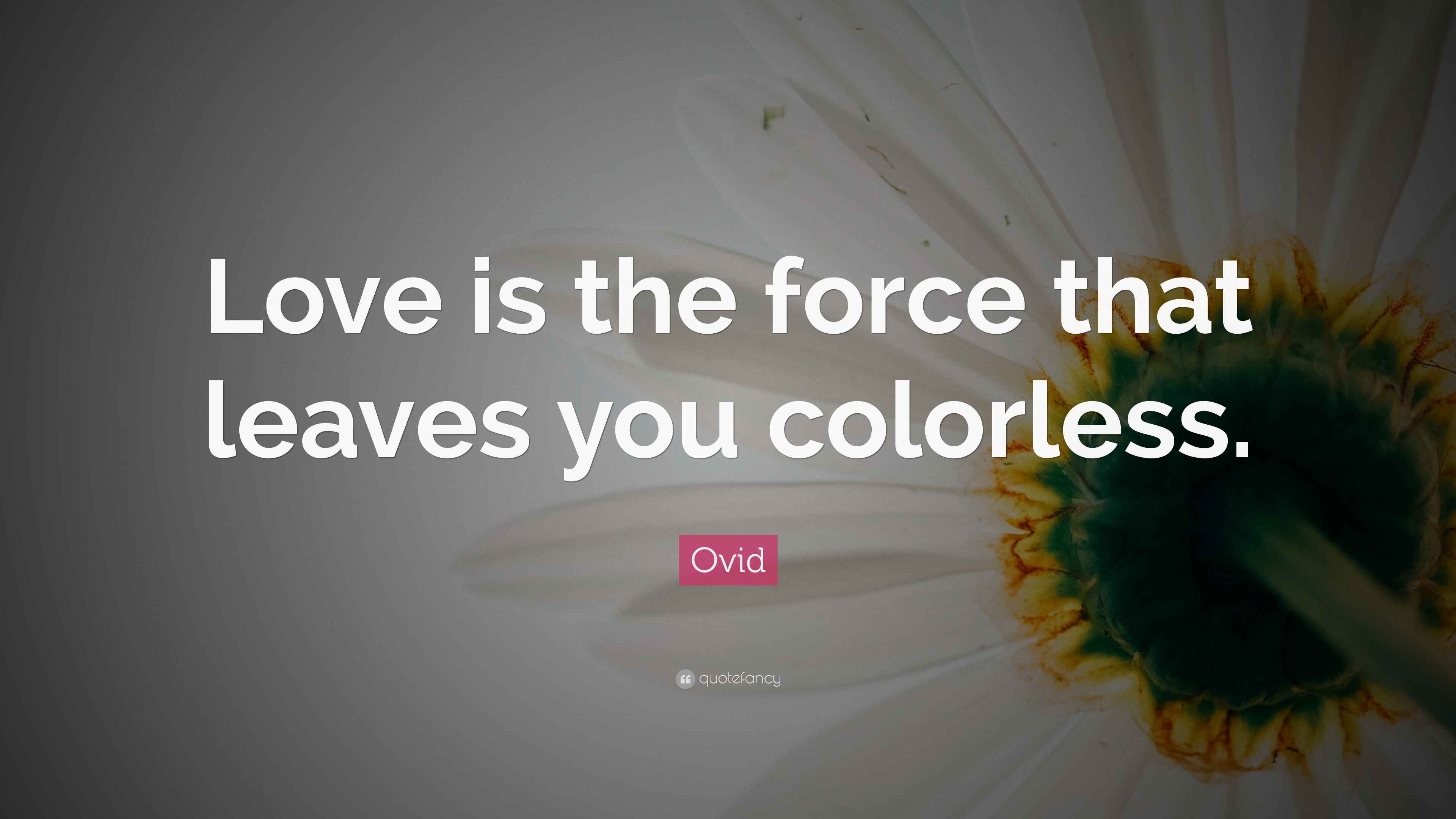 Ovid Quote: “Love is the force that leaves you colorless.”