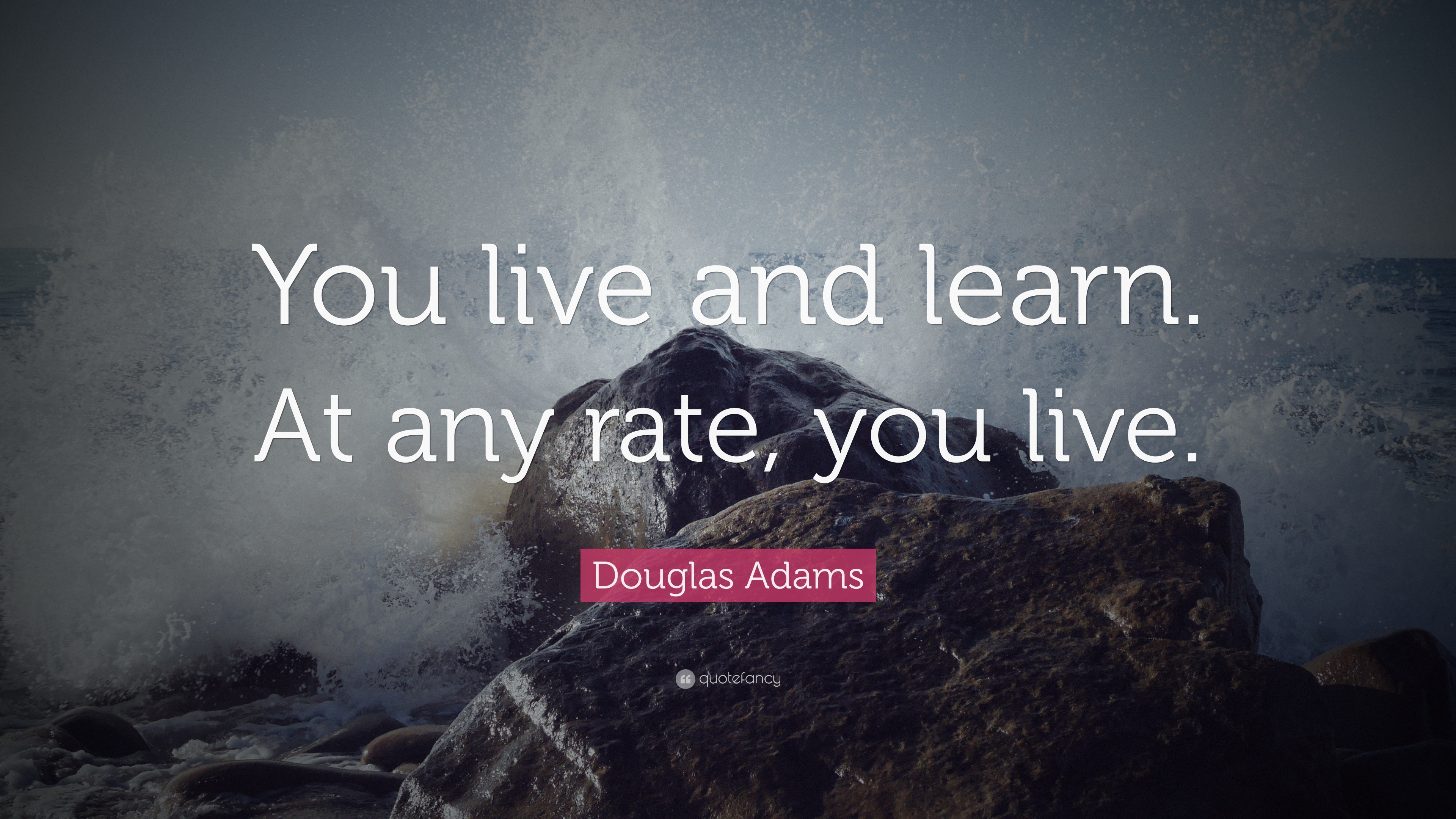 Douglas Adams Quote: “You live and learn. At any rate, you live.”