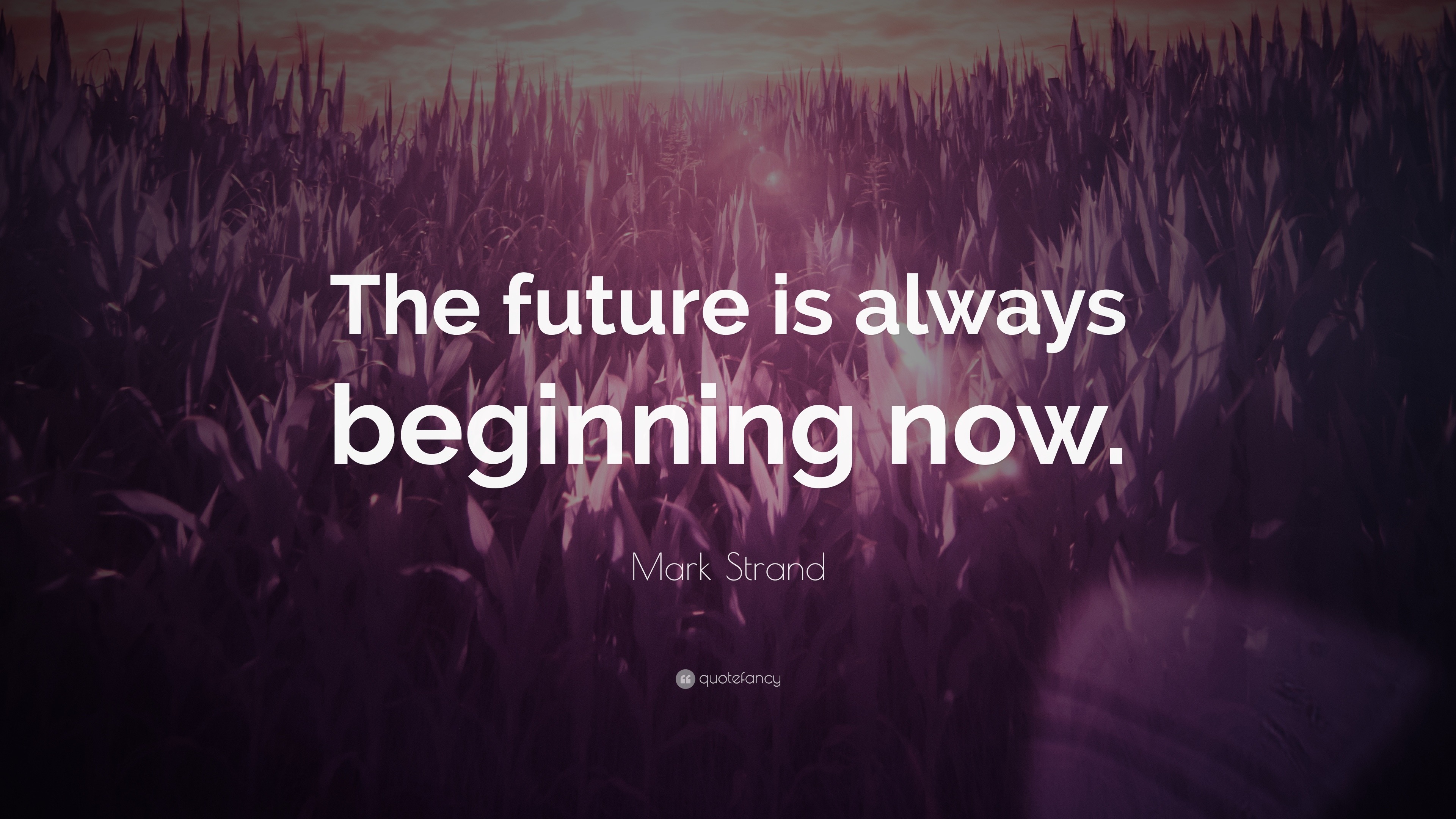 Mark Strand Quote: “The future is always beginning now.”