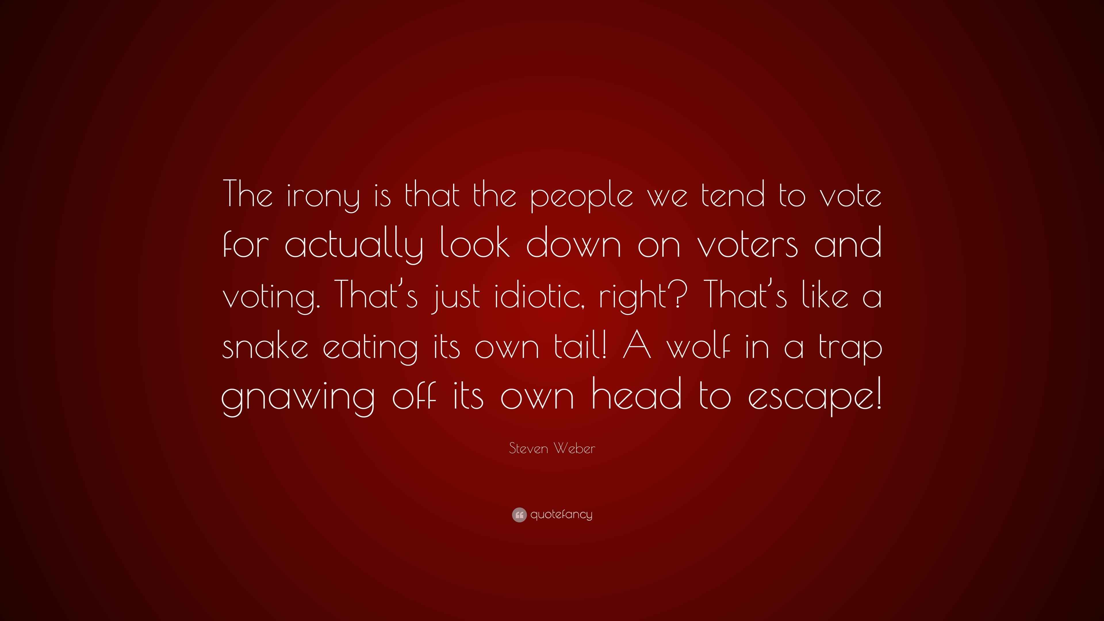 Steven Weber Quote: “The irony is that the people we tend to vote for ...
