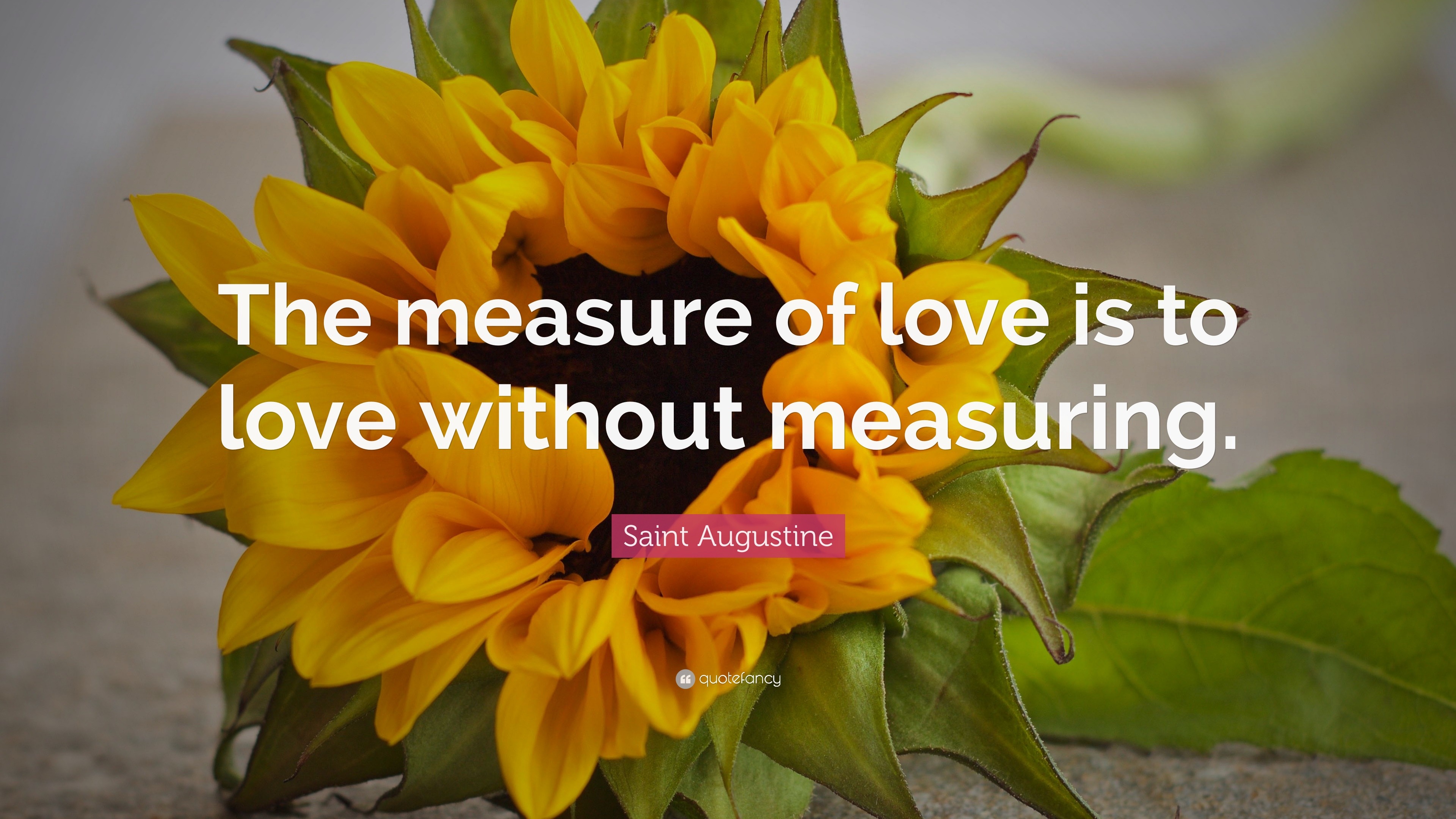 Saint Augustine Quote: “The measure of love is to love without measuring.”