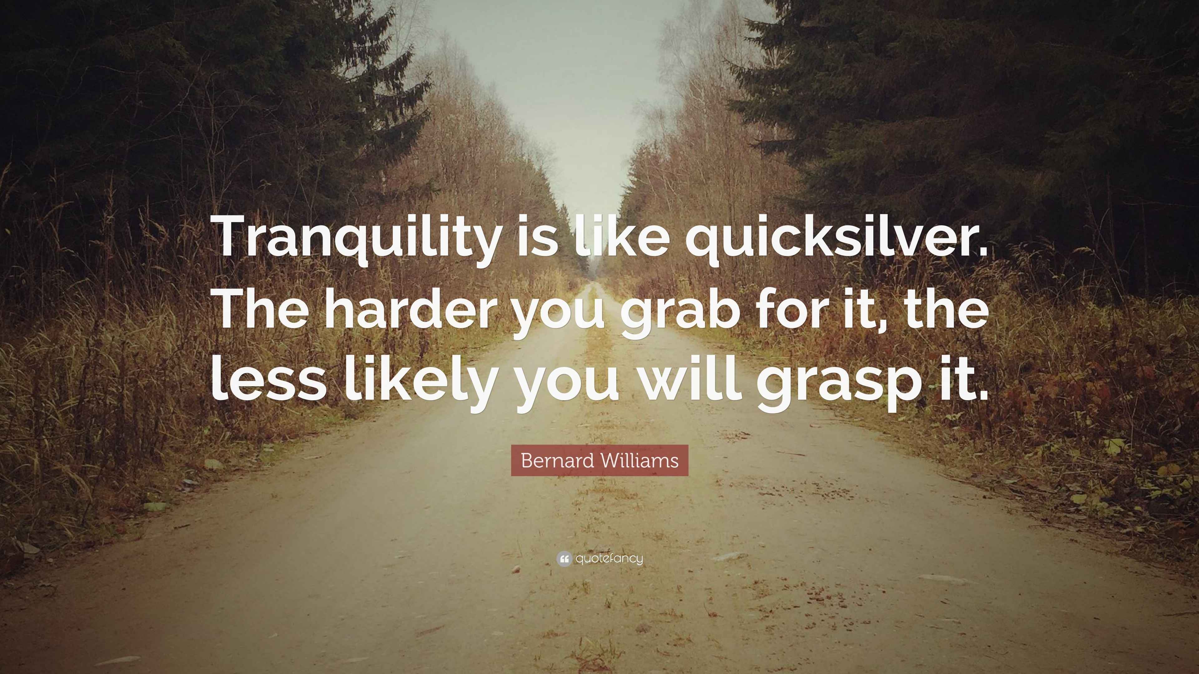 Bernard Williams Quote: “Tranquility is like quicksilver. The harder ...