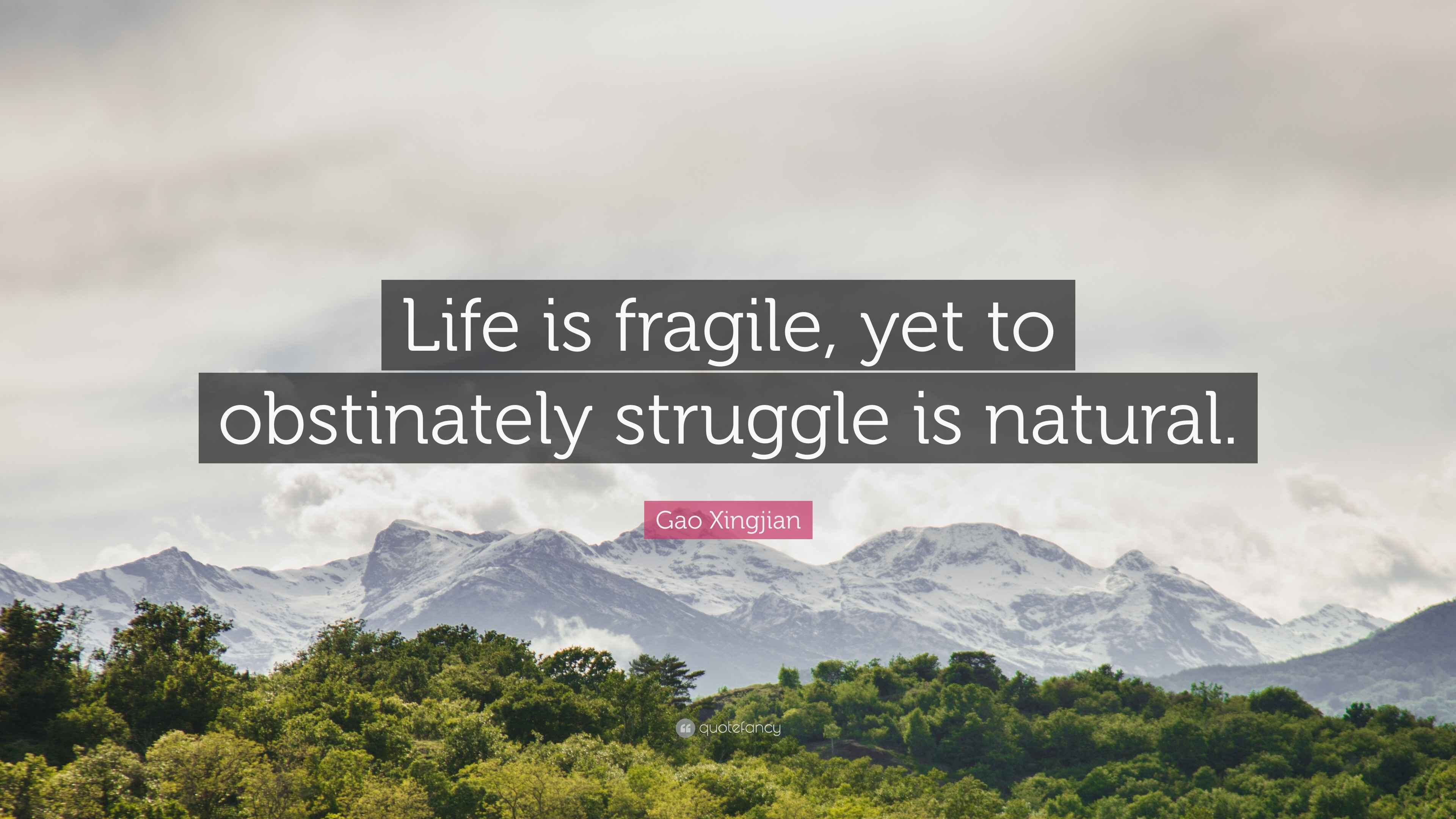 Gao Xingjian Quote: “Life is fragile, yet to obstinately struggle is ...
