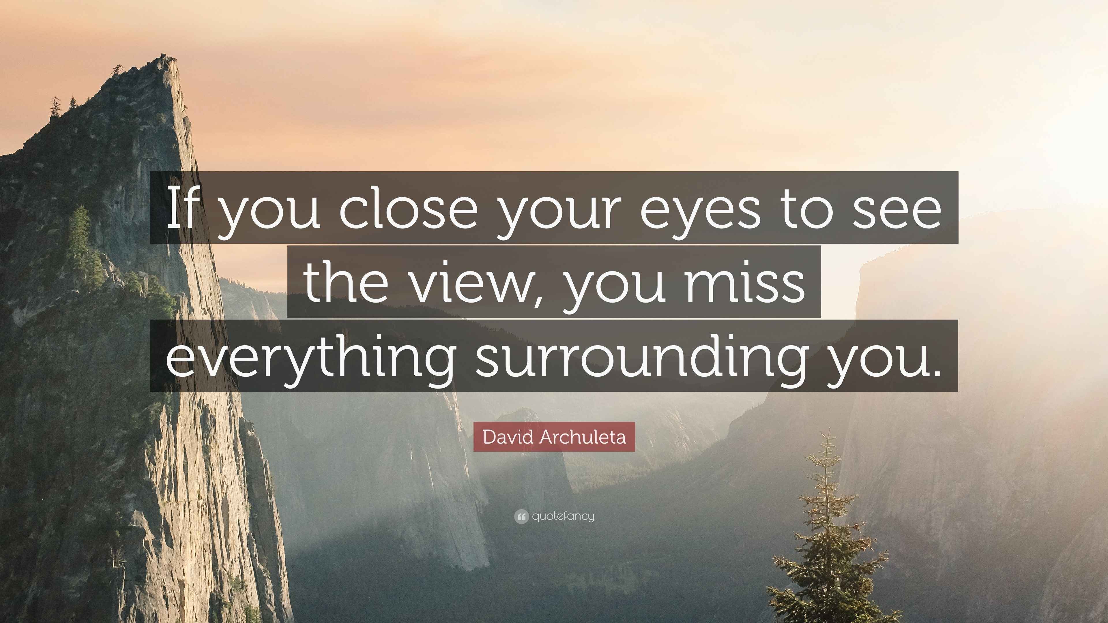 David Archuleta Quote: “If you close your eyes to see the view, you ...