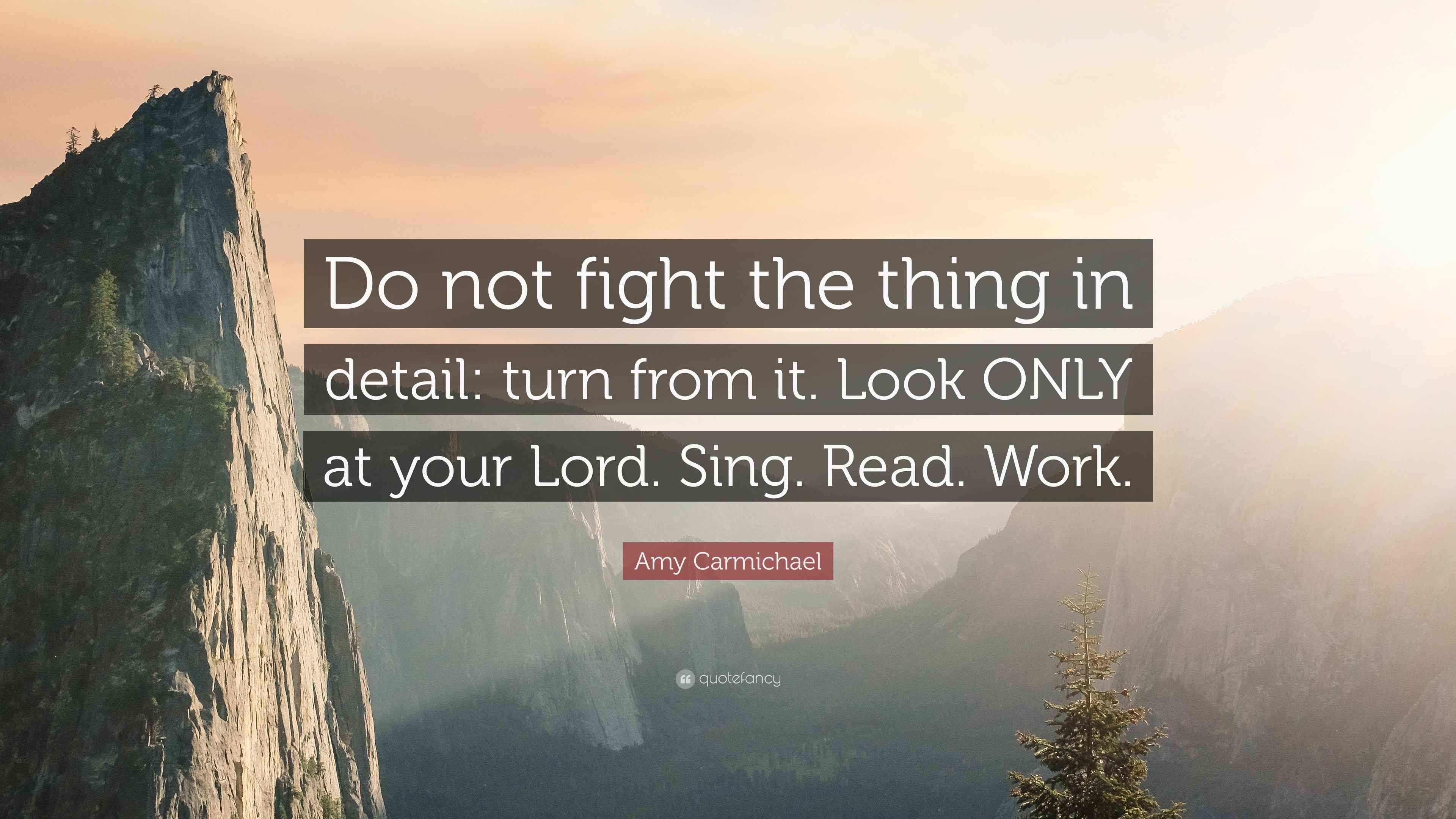 Amy Carmichael Quote: “Do not fight the thing in detail: turn from it ...