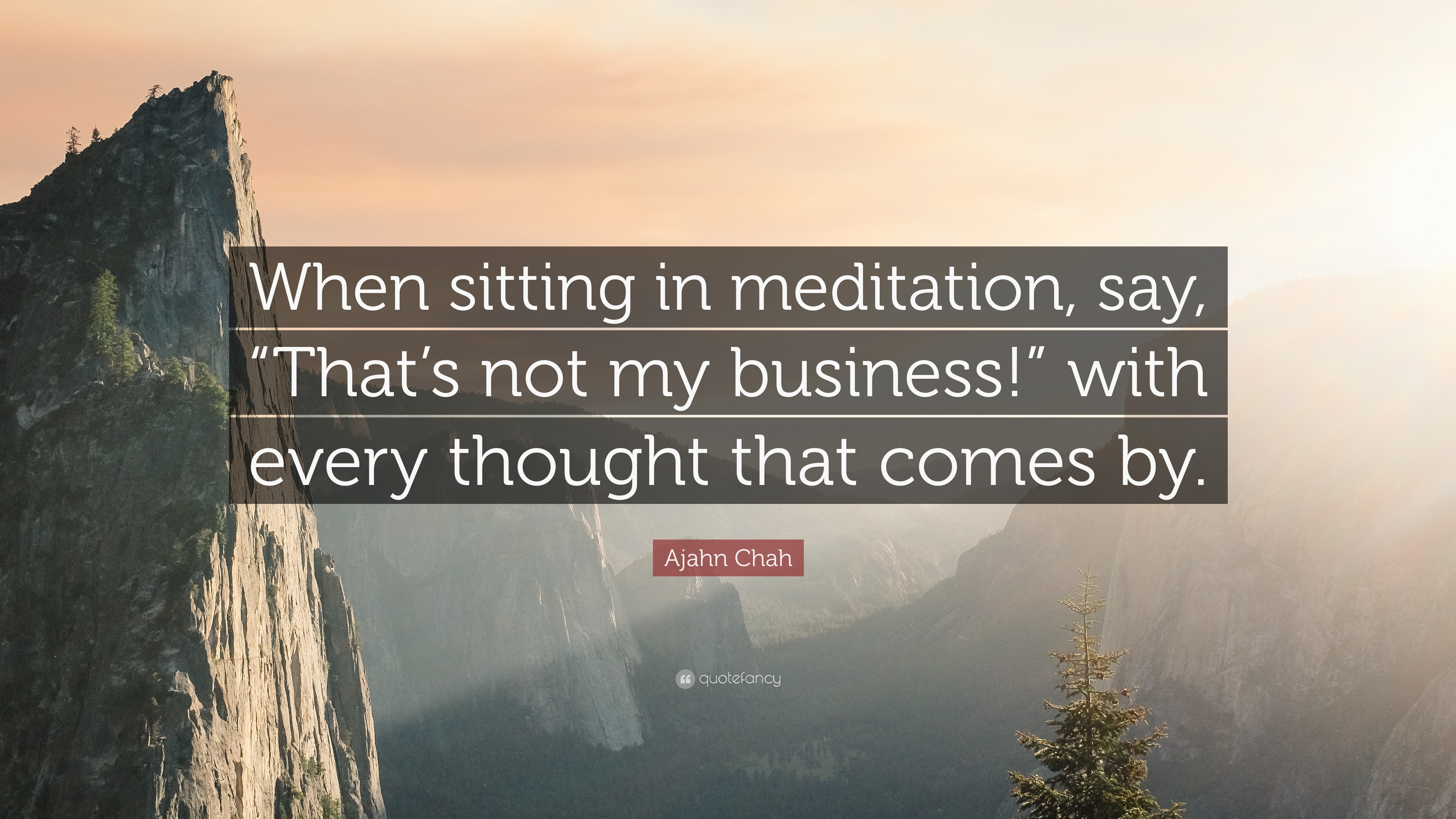 Ajahn Chah Quote: “When sitting in meditation, say, “That’s not my ...