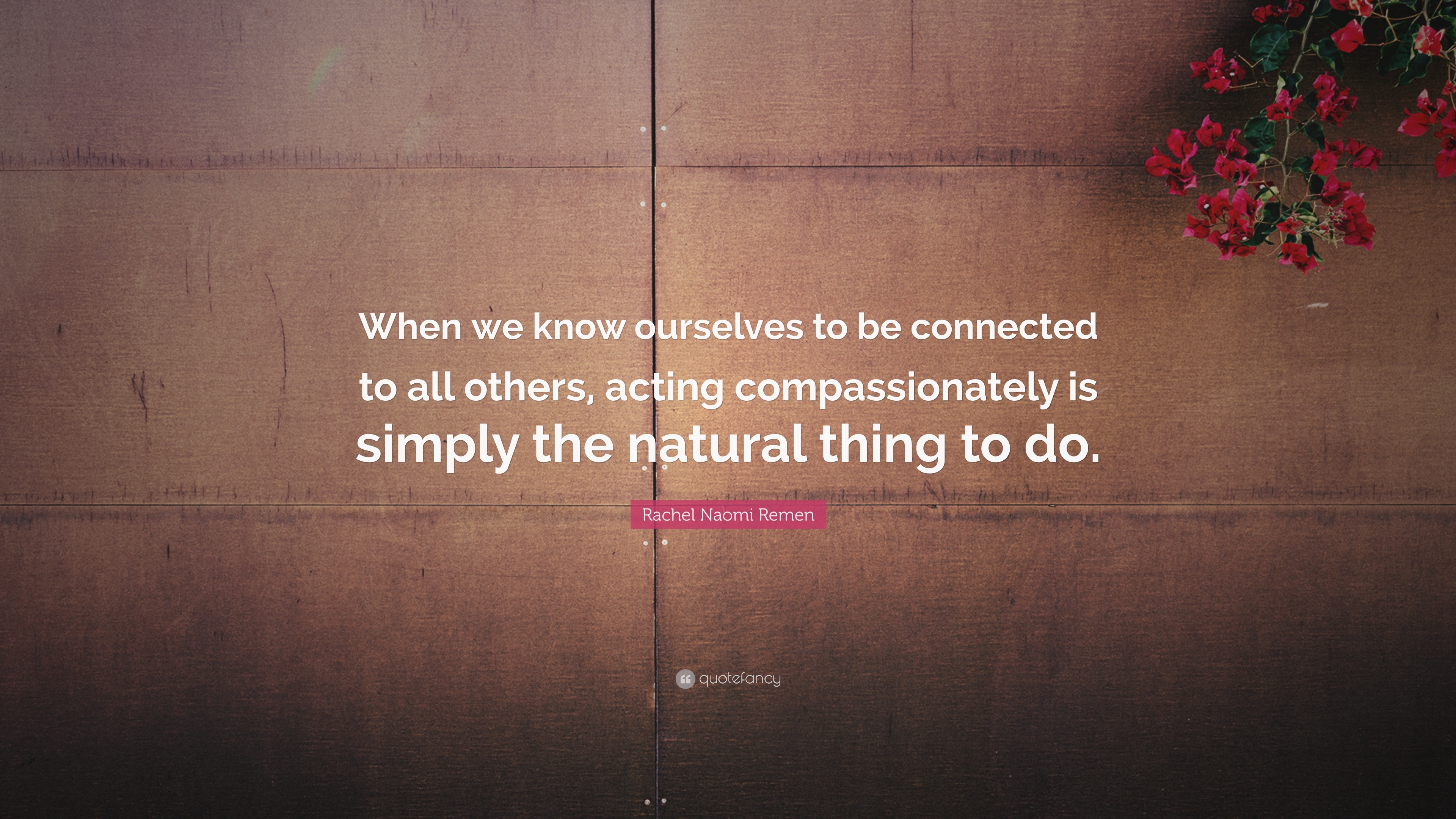 Rachel Naomi Remen Quotes (71 wallpapers) - Quotefancy