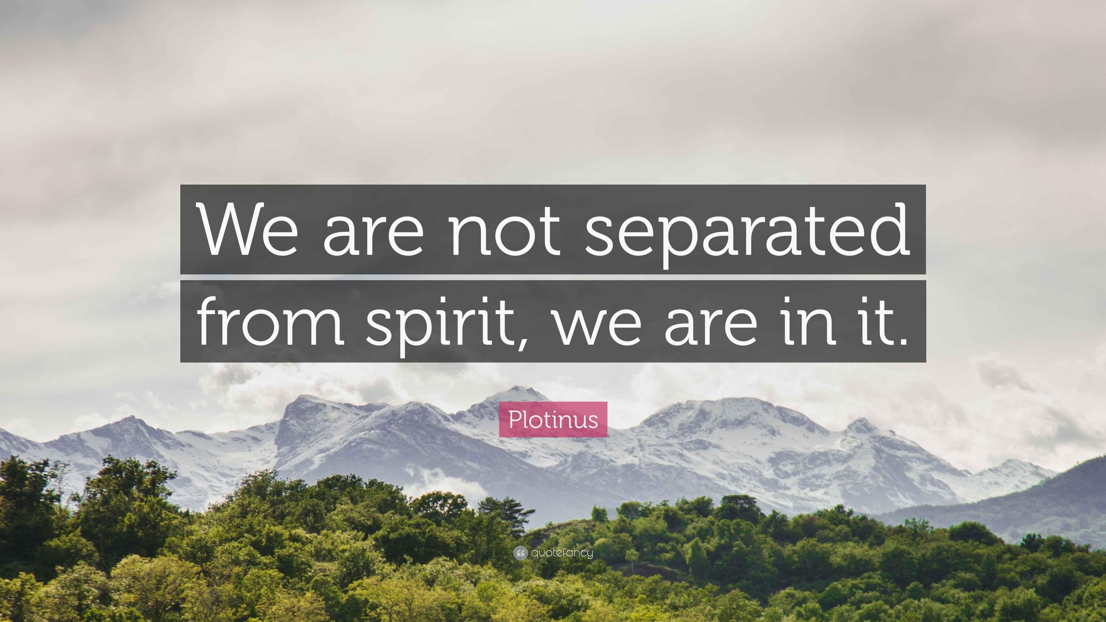 Plotinus Quote: “We are not separated from spirit, we are in it.”