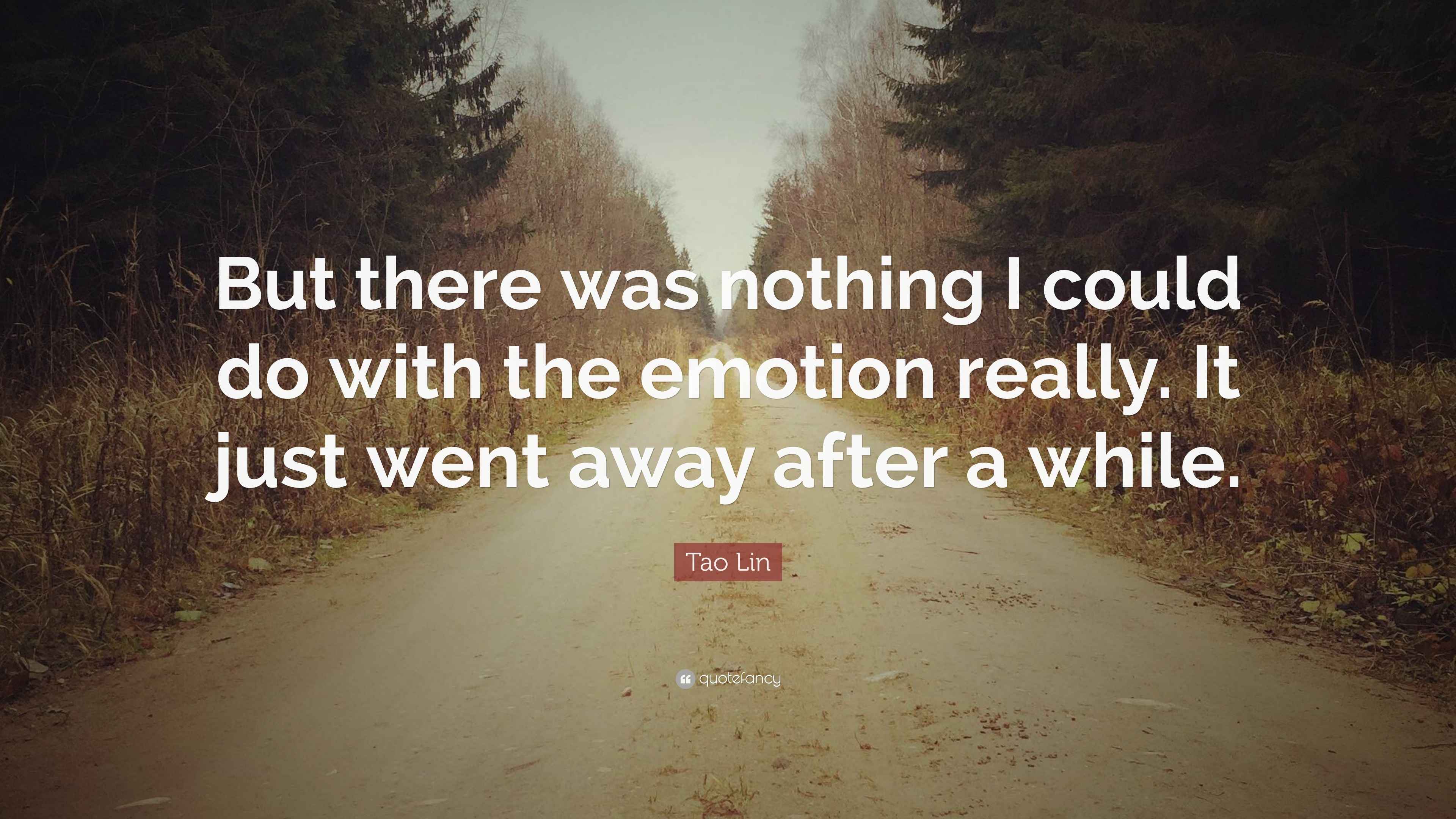 Tao Lin Quote: “But there was nothing I could do with the emotion ...