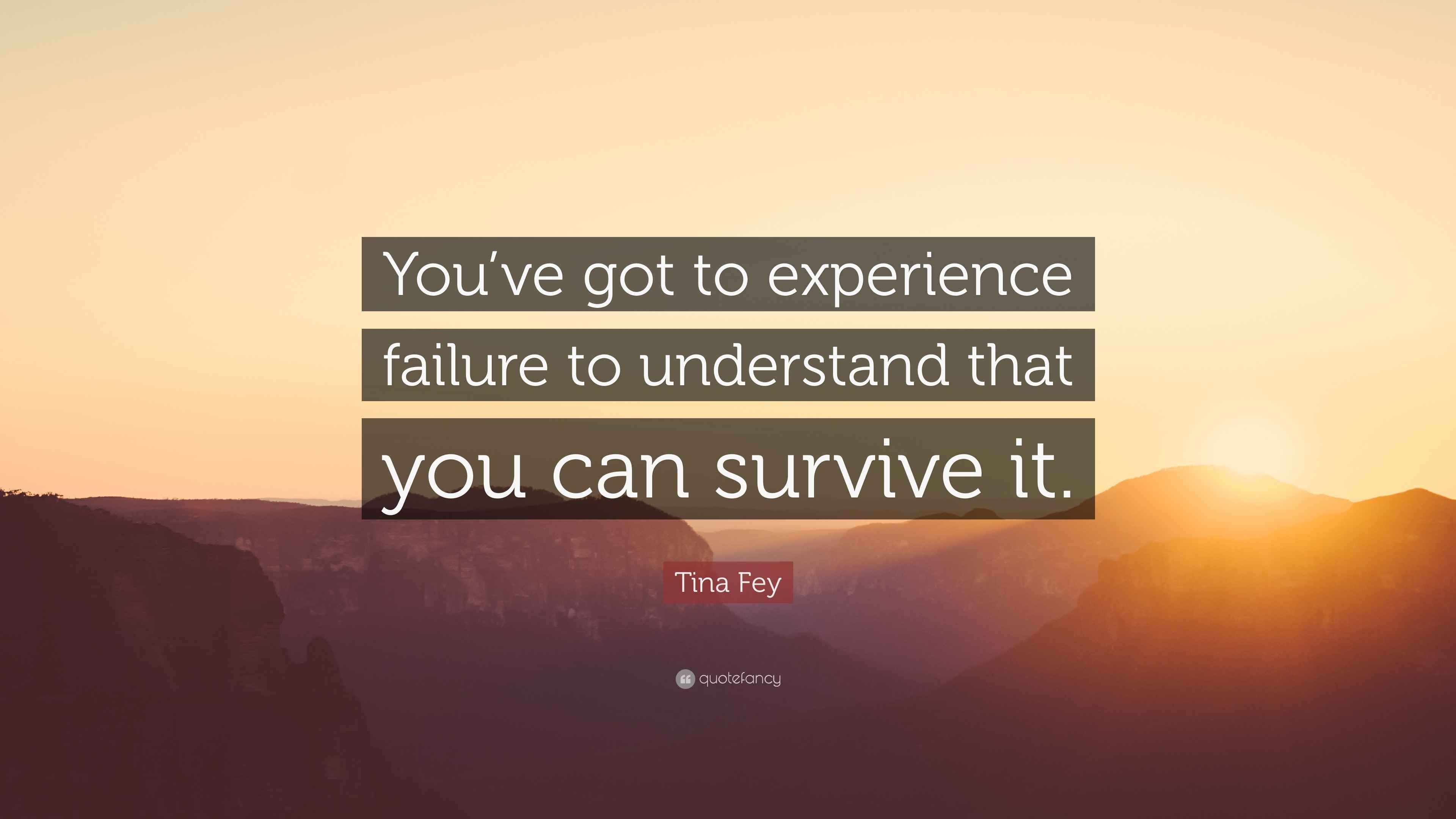 Tina Fey Quote: “You’ve got to experience failure to understand that ...