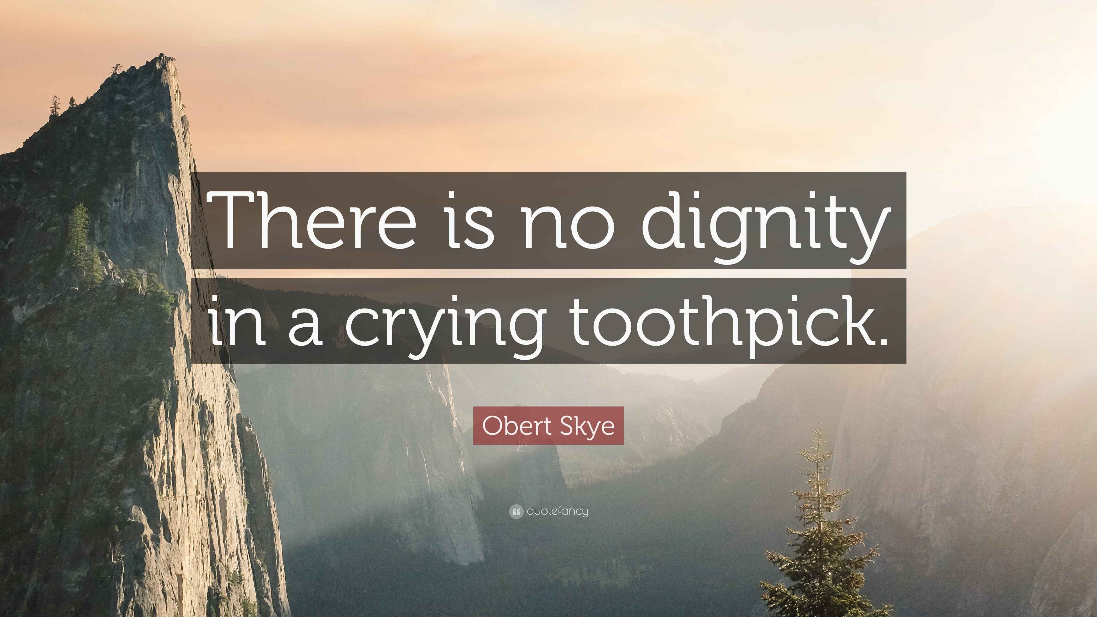 Obert Skye Quote: “There is no dignity in a crying toothpick.”