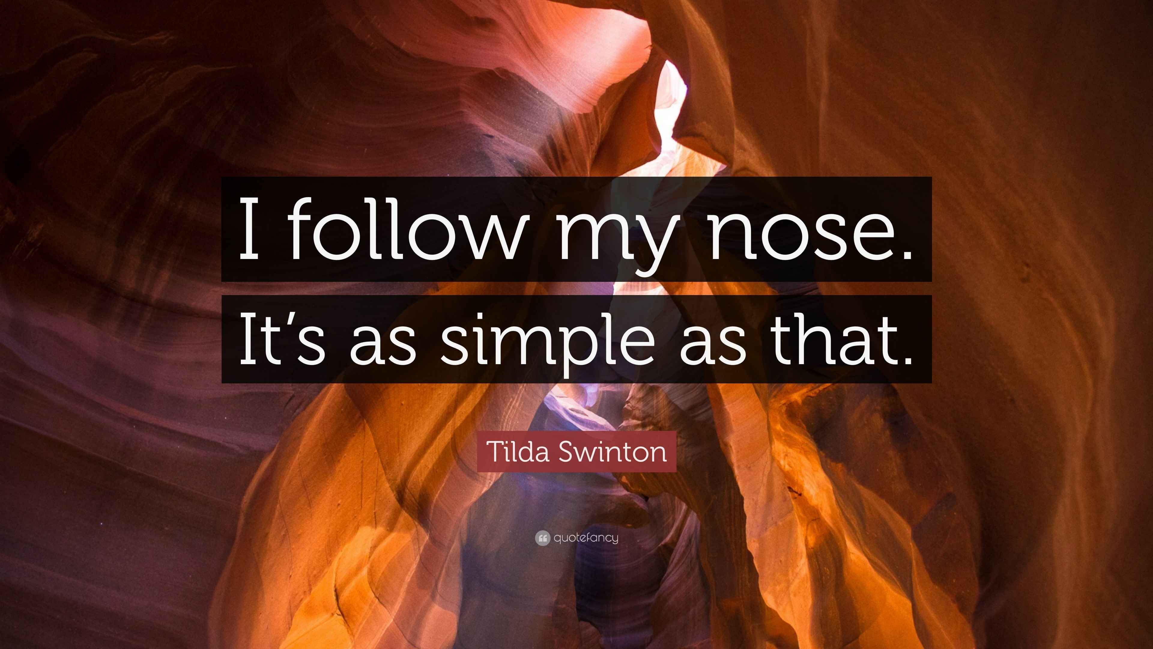 Tilda Swinton Quote: “I follow my nose. It’s as simple as that.”