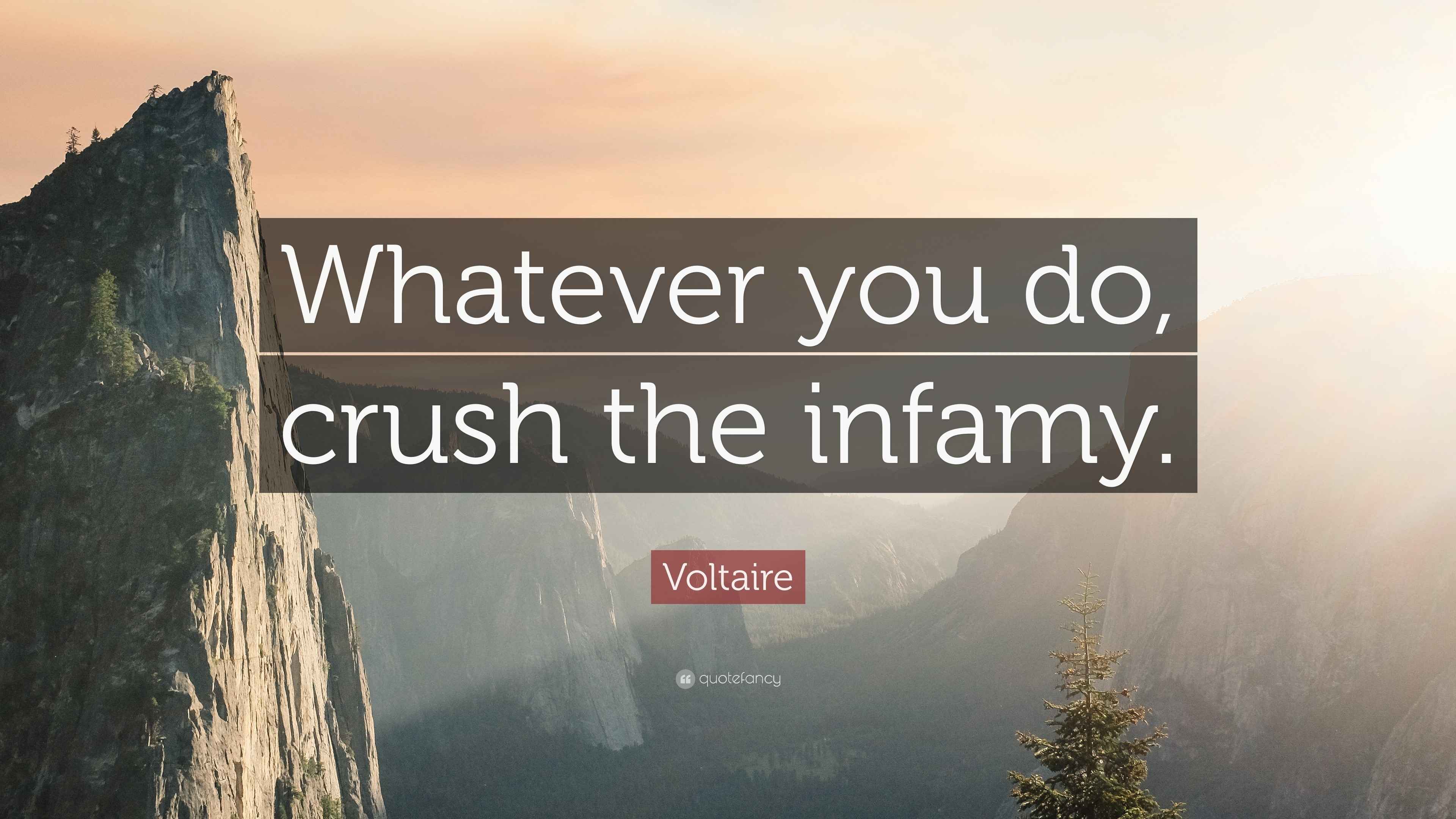 Voltaire Quote: “Whatever you do, crush the infamy.”