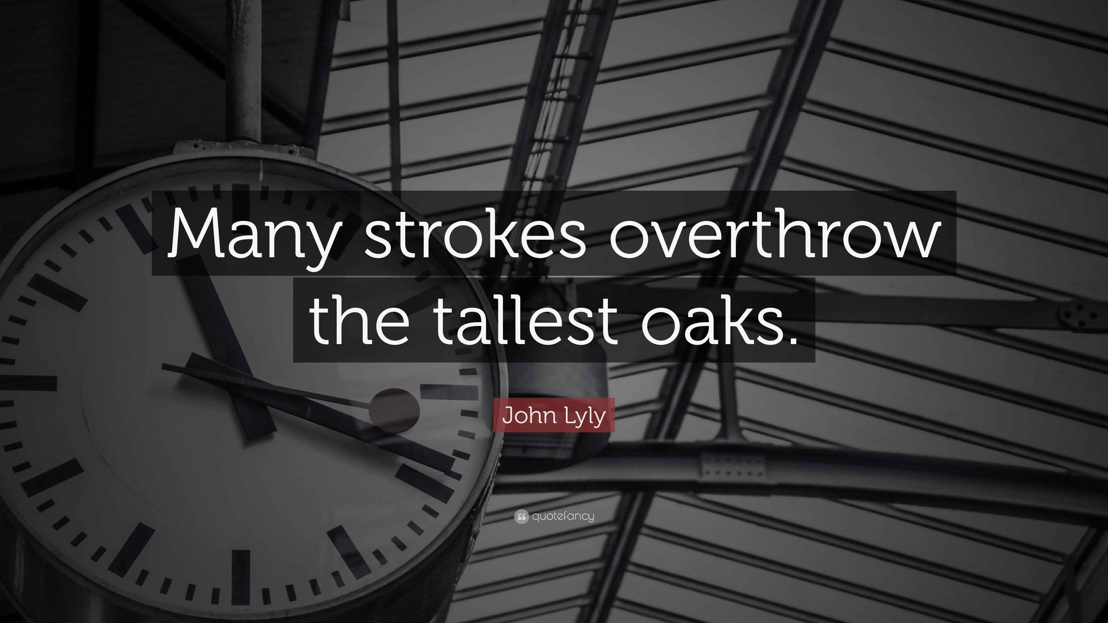 John Lyly Quote: “Many strokes overthrow the tallest oaks.”