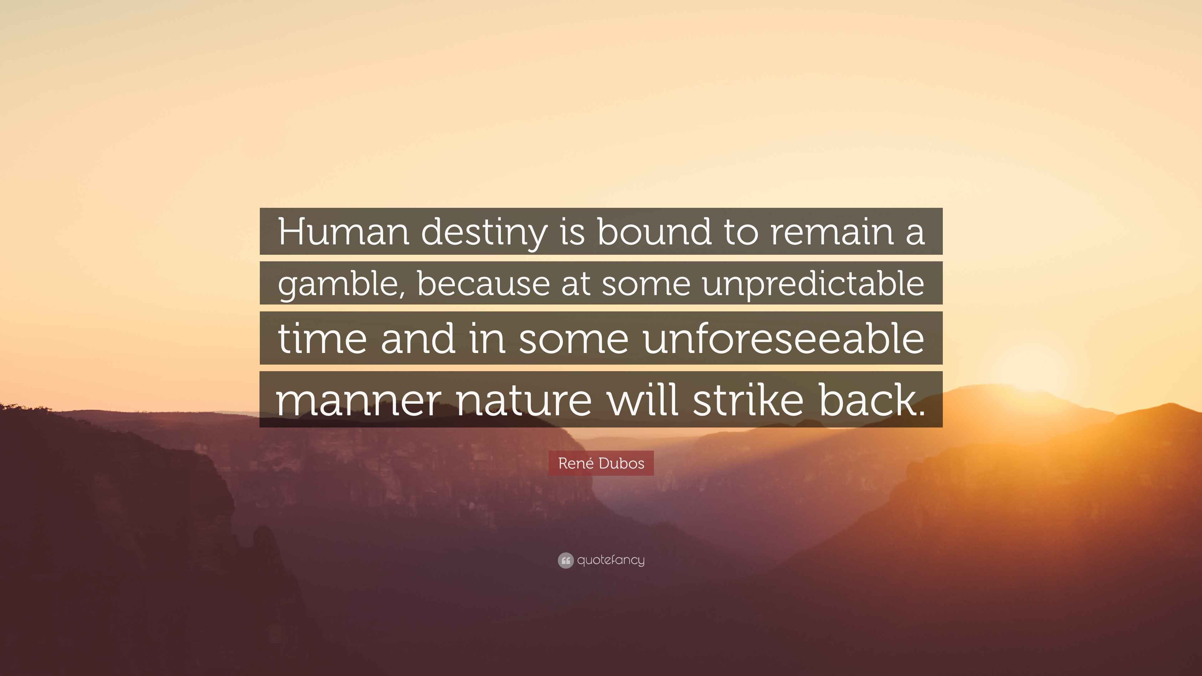 René Dubos Quote: “Human destiny is bound to remain a gamble, because ...