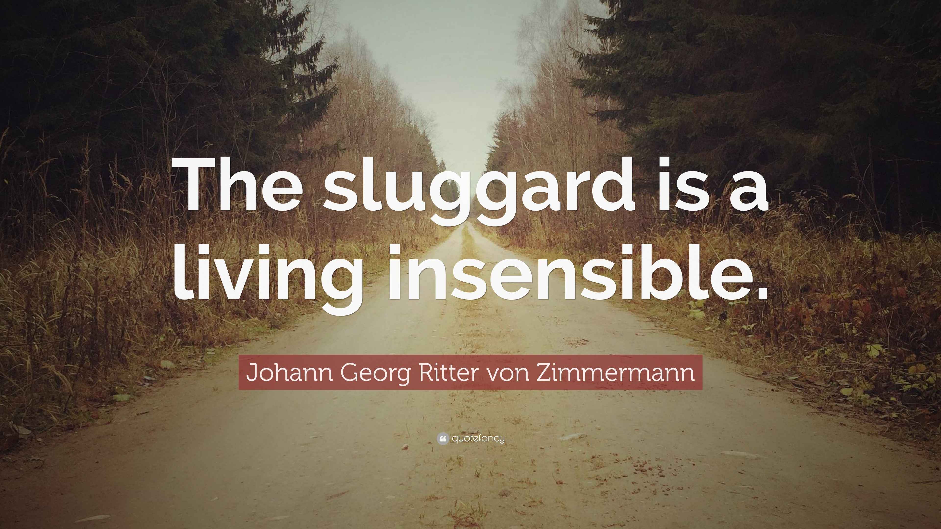 Johann Georg Zimmermann Quote: “The sluggard is a living insensible.”