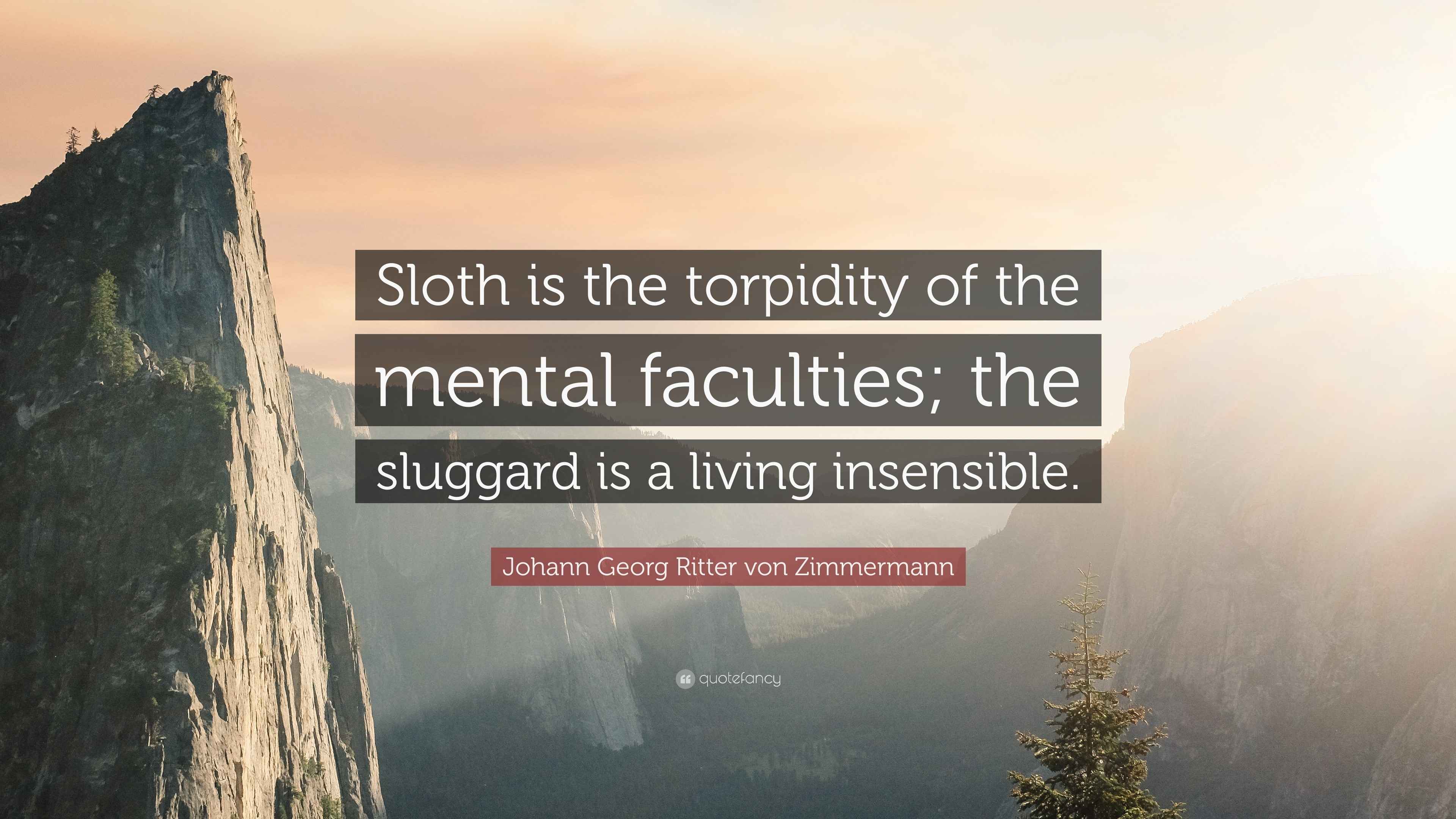 Johann Georg Zimmermann Quote: “Sloth is the torpidity of the mental ...