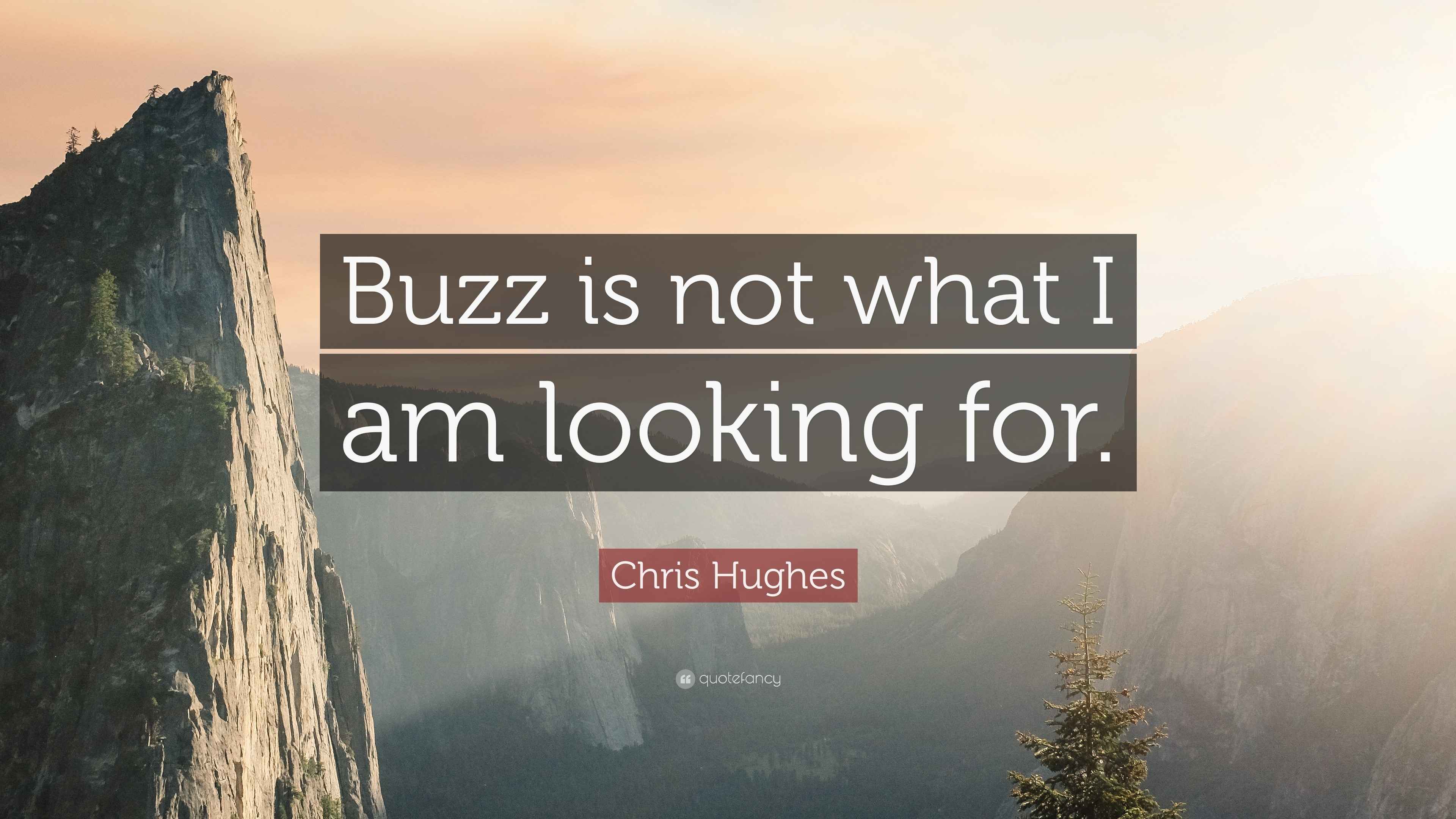 Chris Hughes Quote: “Buzz is not what I am looking for.”