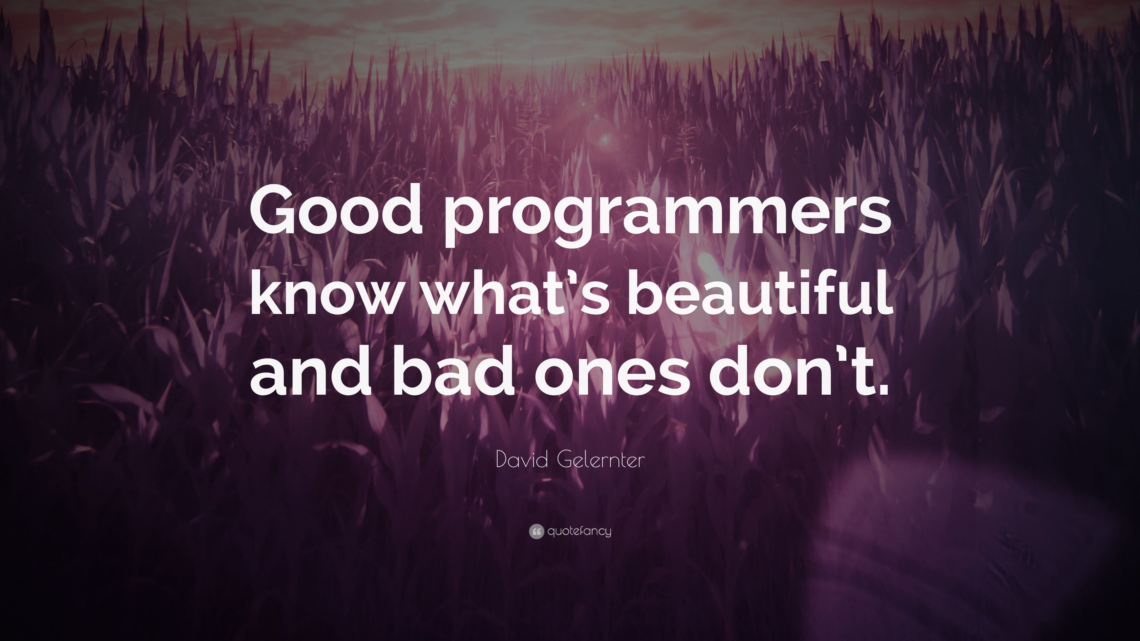 David Gelernter Quote: “Good programmers know what’s beautiful and bad ...