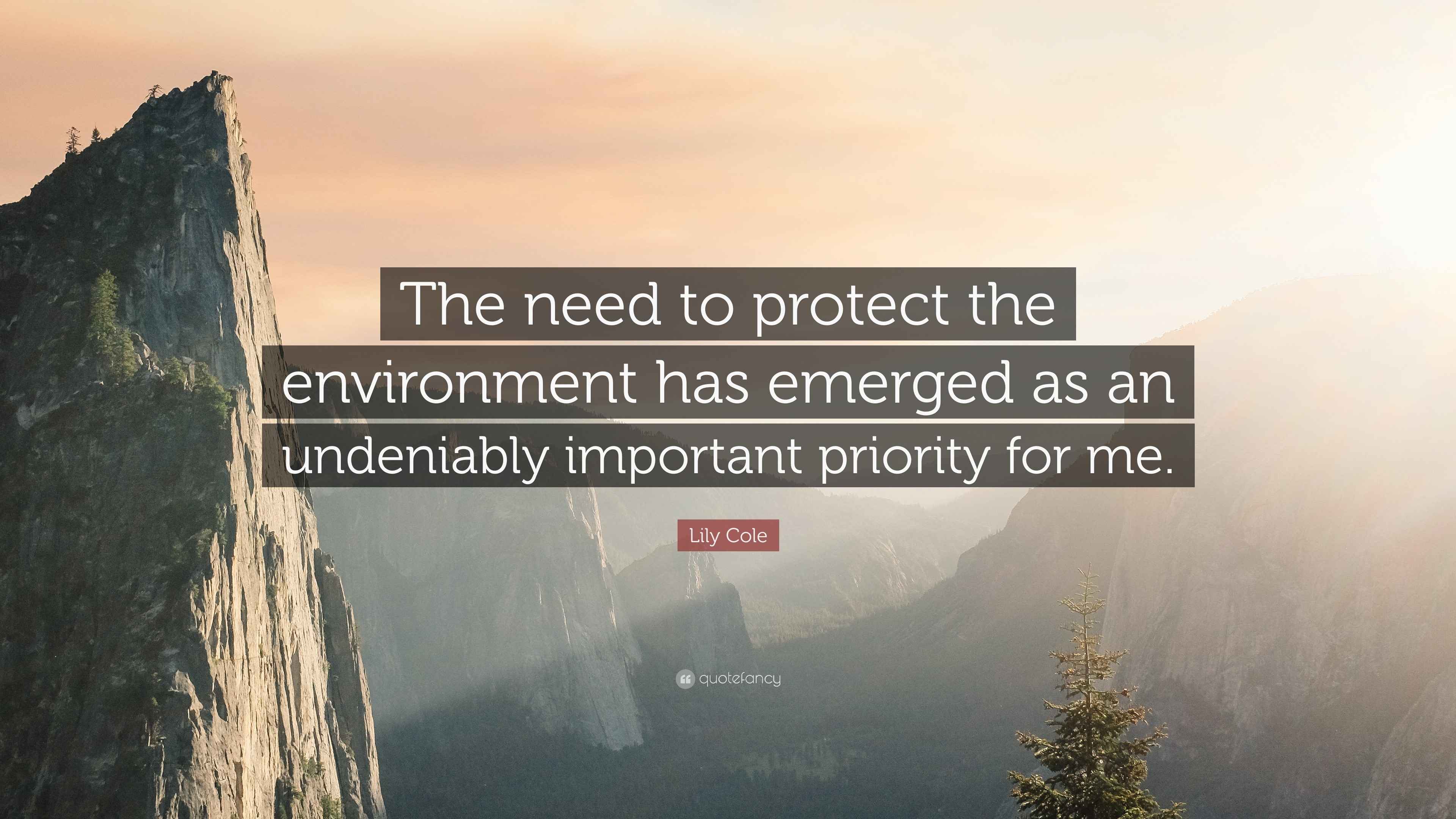 Lily Cole Quote: “The need to protect the environment has emerged as an ...