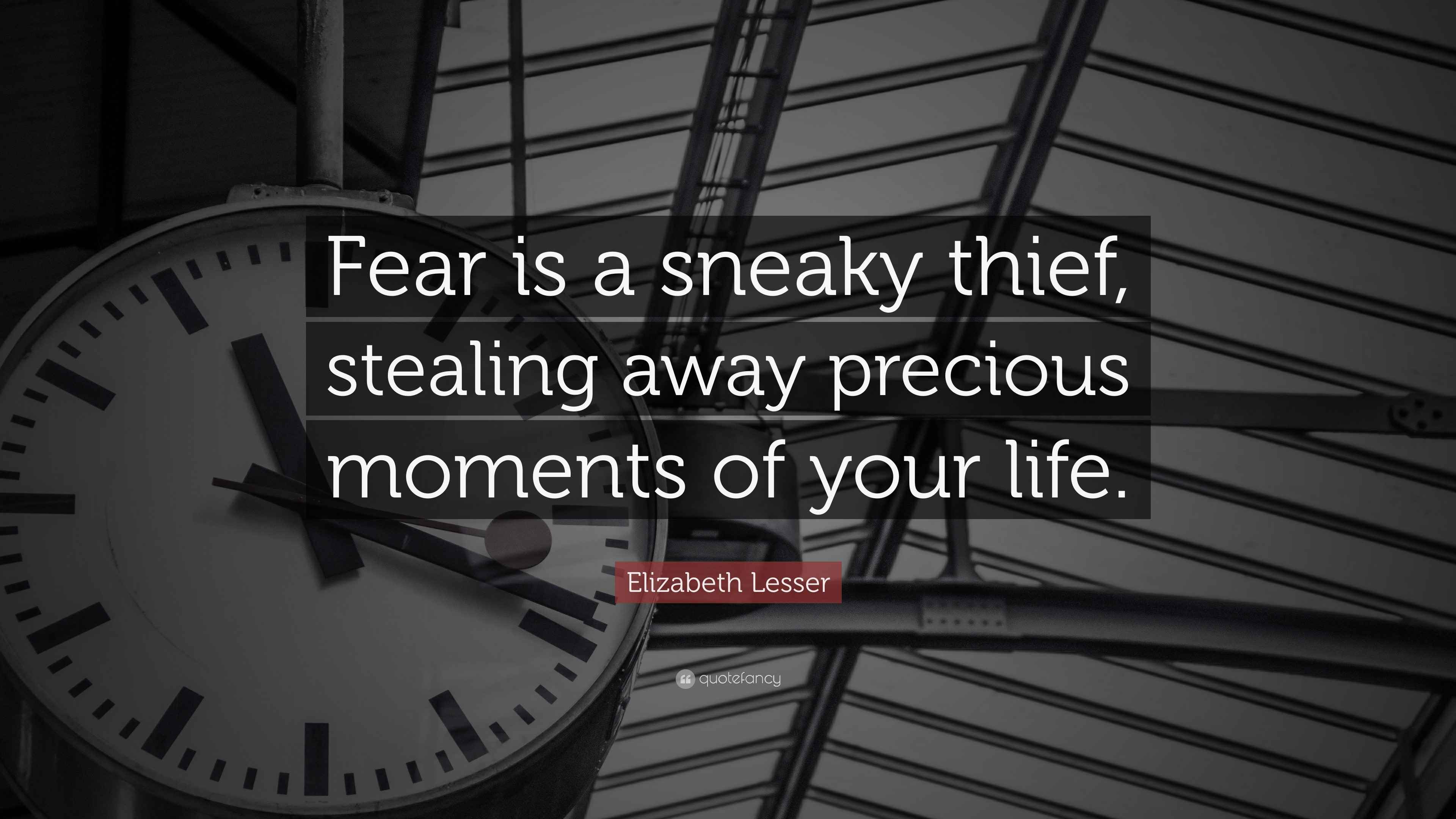 Elizabeth Lesser Quote: “Fear is a sneaky thief, stealing away precious ...