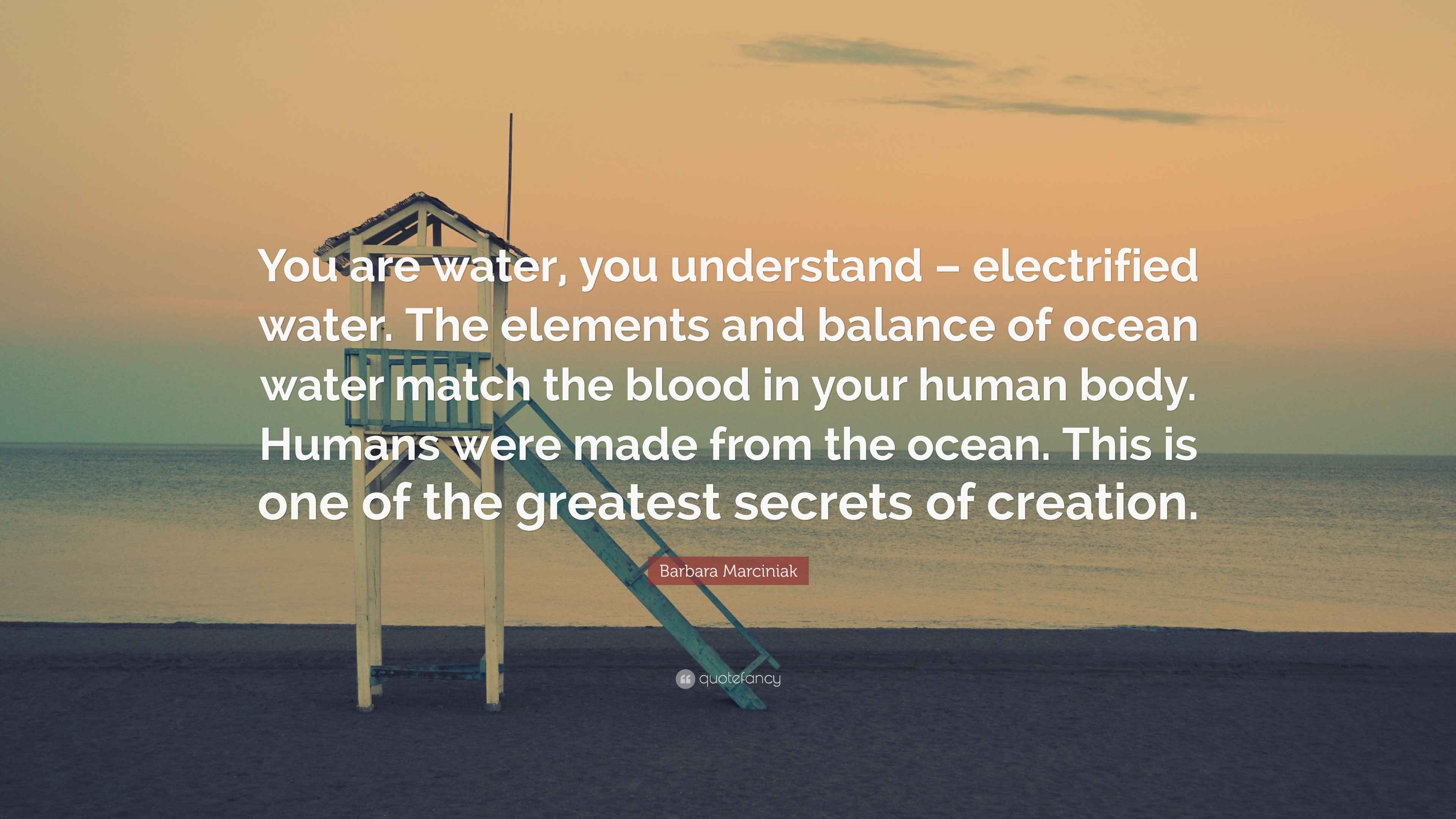 Barbara Marciniak Quote: “You are water, you understand – electrified ...