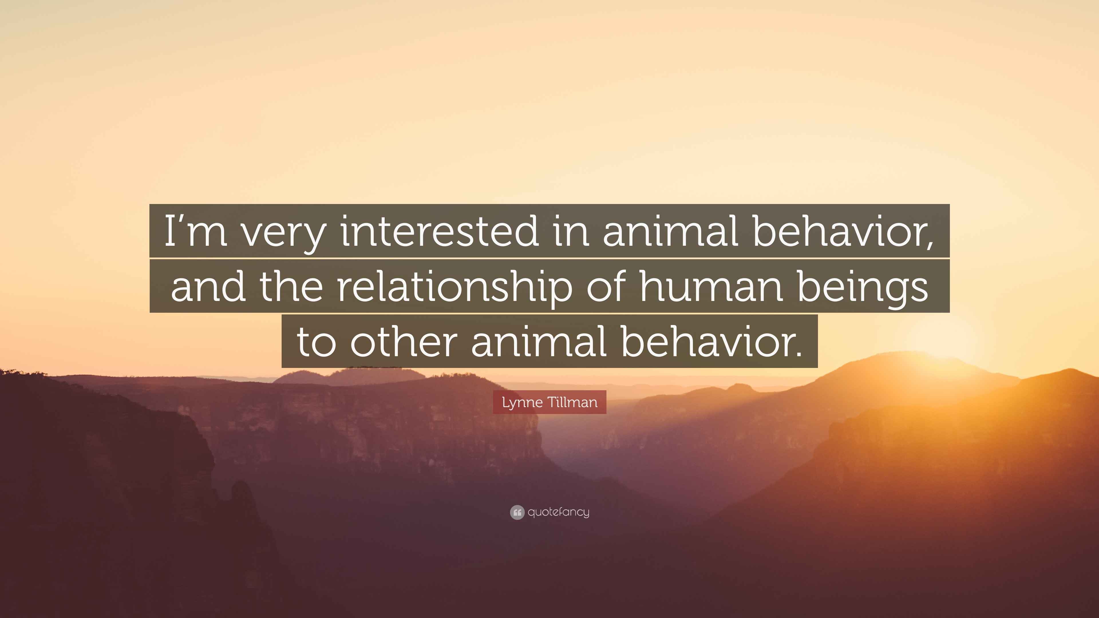 Lynne Tillman Quote: “I’m very interested in animal behavior, and the ...