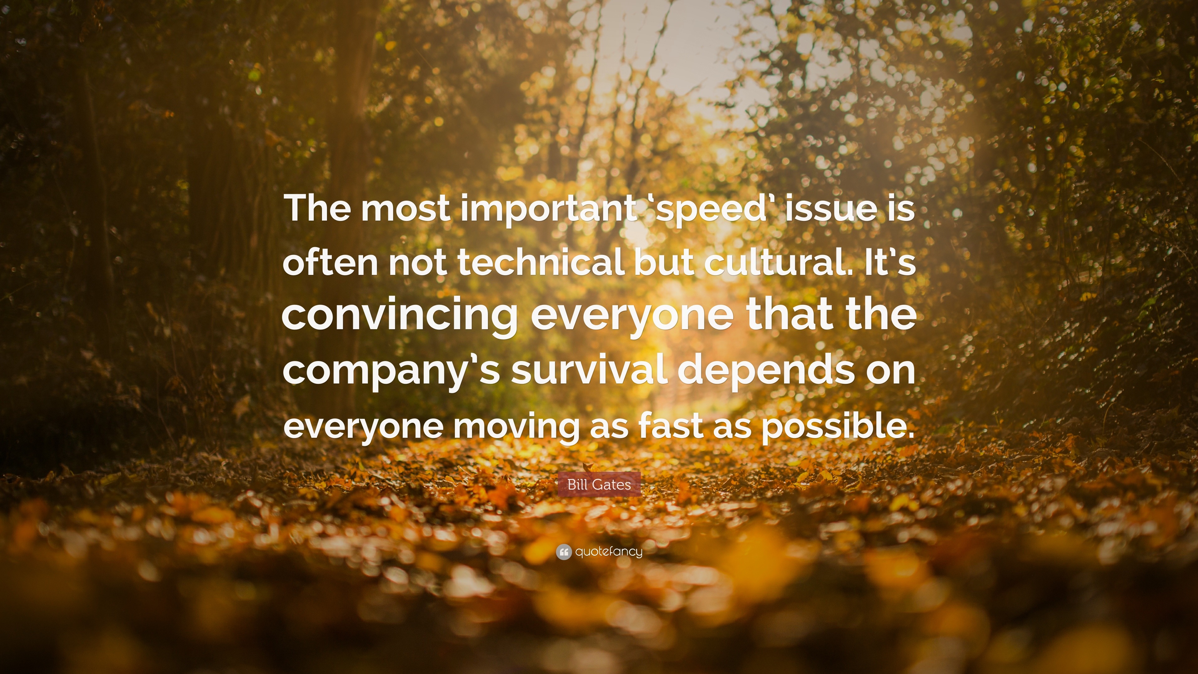 Bill Gates Quote: “The most important ‘speed’ issue is often not ...