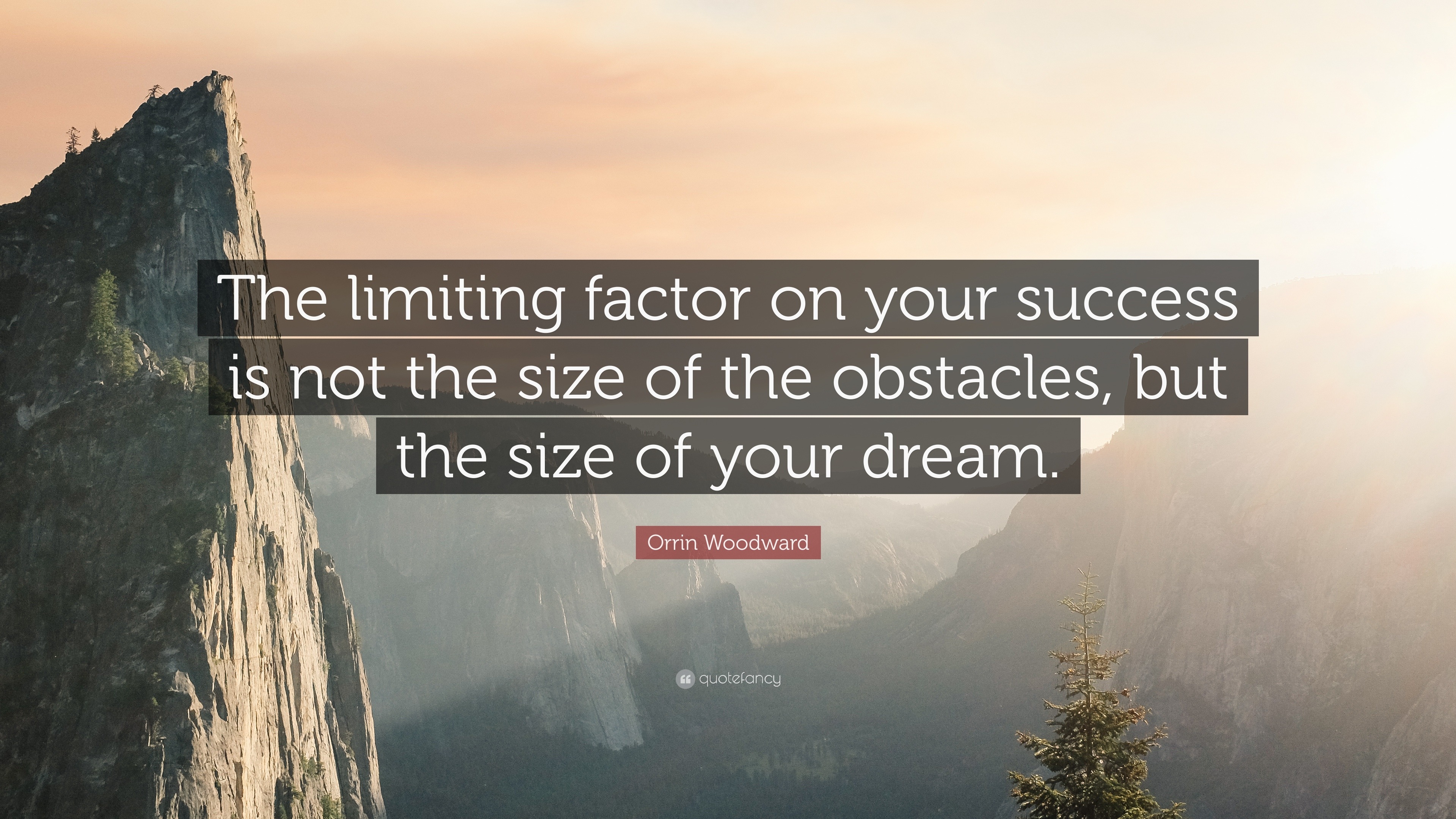 Orrin Woodward Quote: “The limiting factor on your success is not the ...