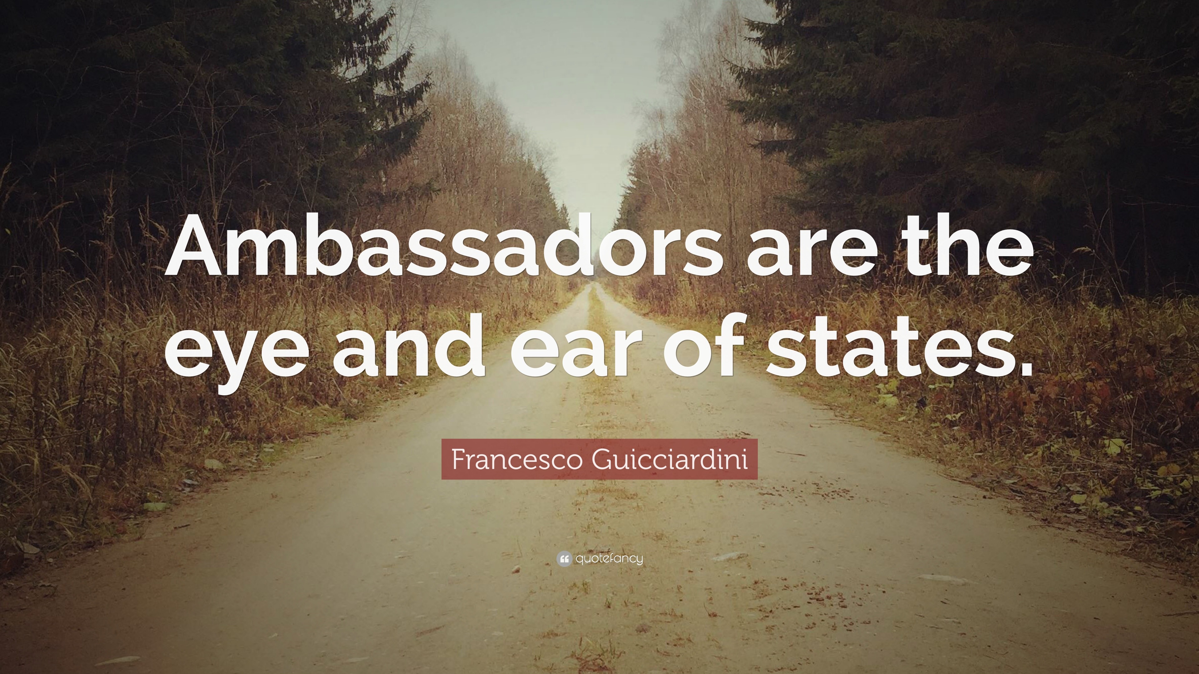 Francesco Guicciardini Quote: “Ambassadors are the eye and ear of states.”