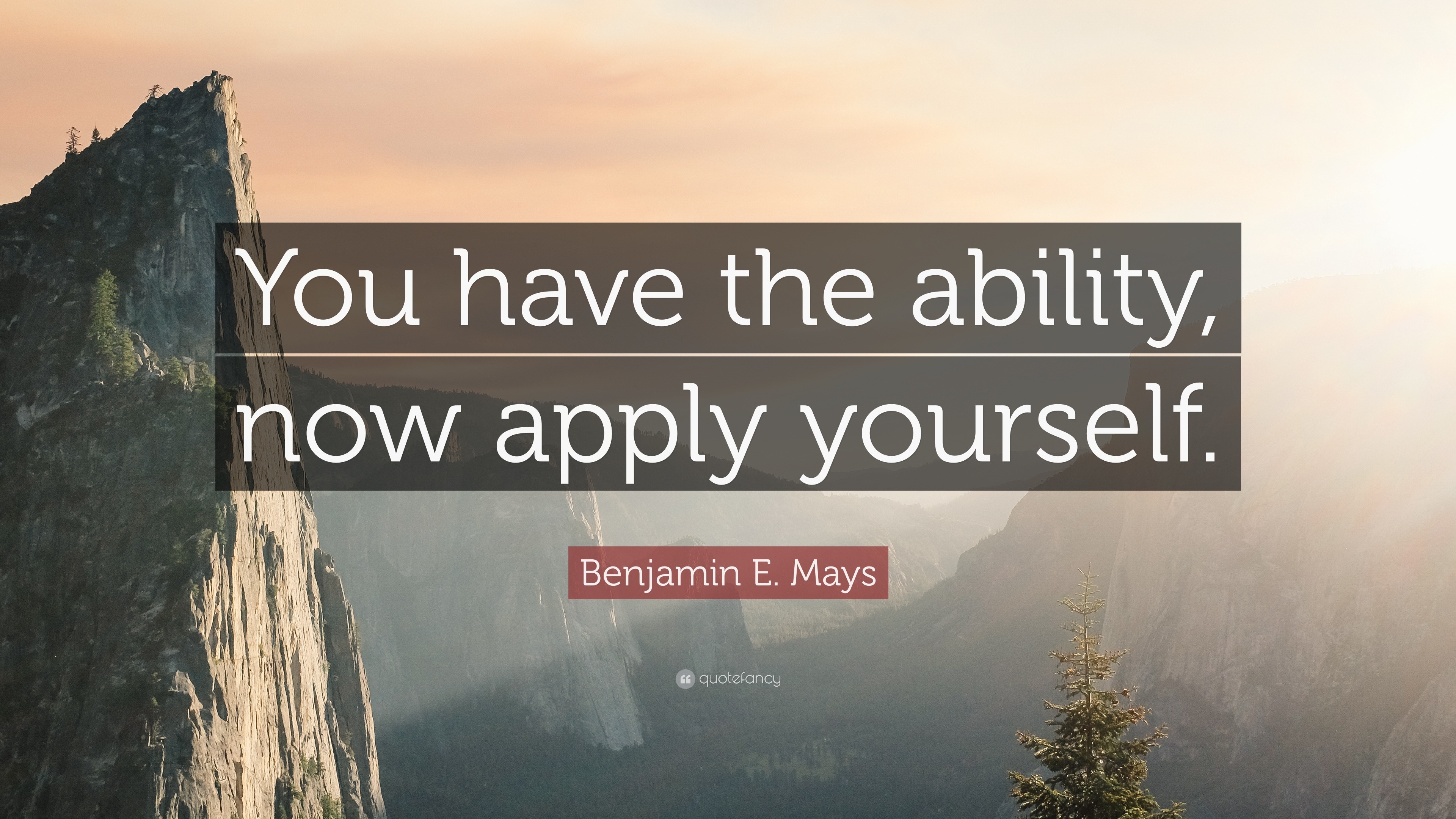 Benjamin E. Mays Quote: “You have the ability, now apply yourself.”
