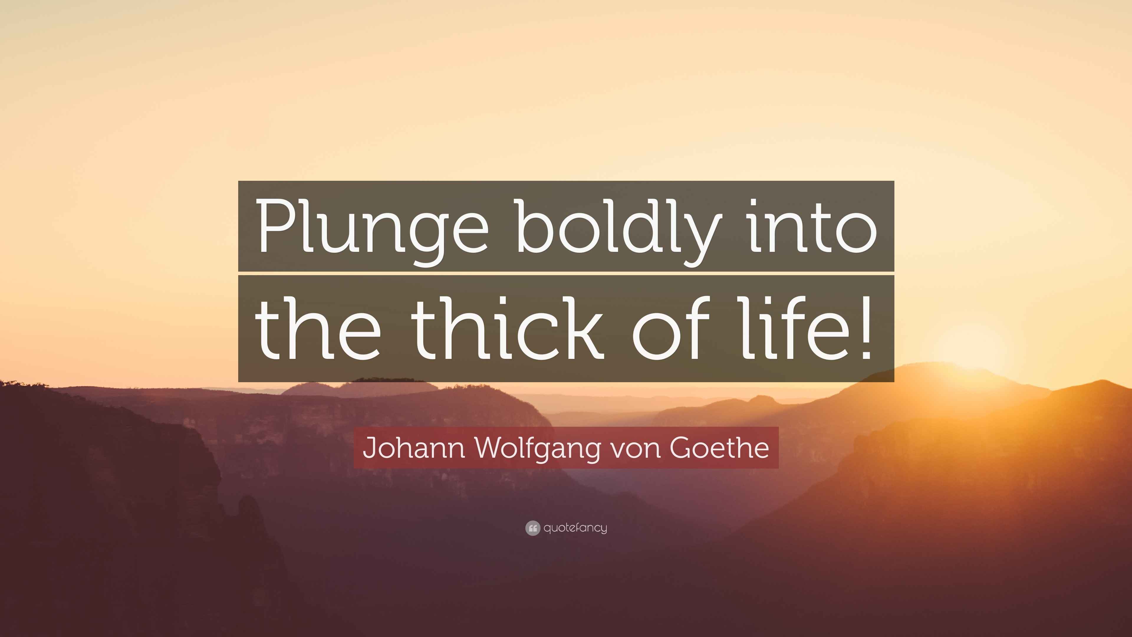 Johann Wolfgang von Goethe Quote: “Plunge boldly into the thick of life!”