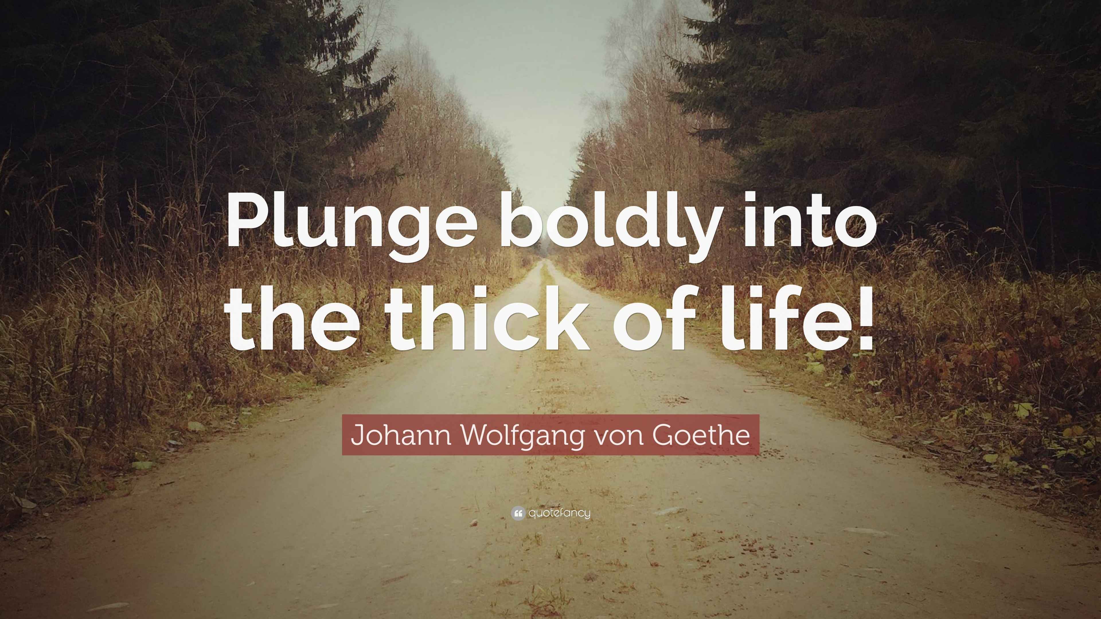 Johann Wolfgang von Goethe Quote: “Plunge boldly into the thick of life!”