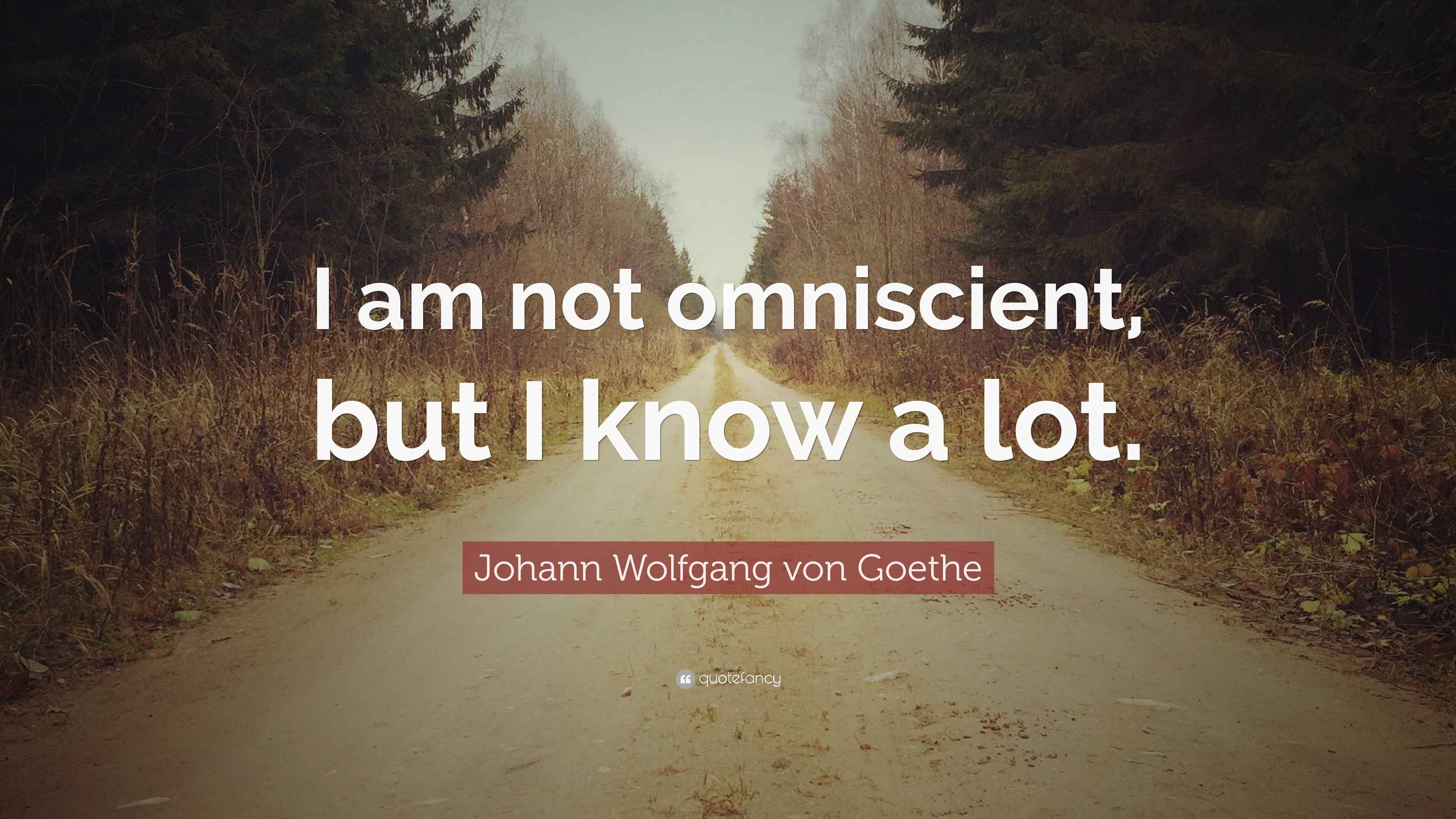 Johann Wolfgang von Goethe Quote: “I am not omniscient, but I know a lot.”