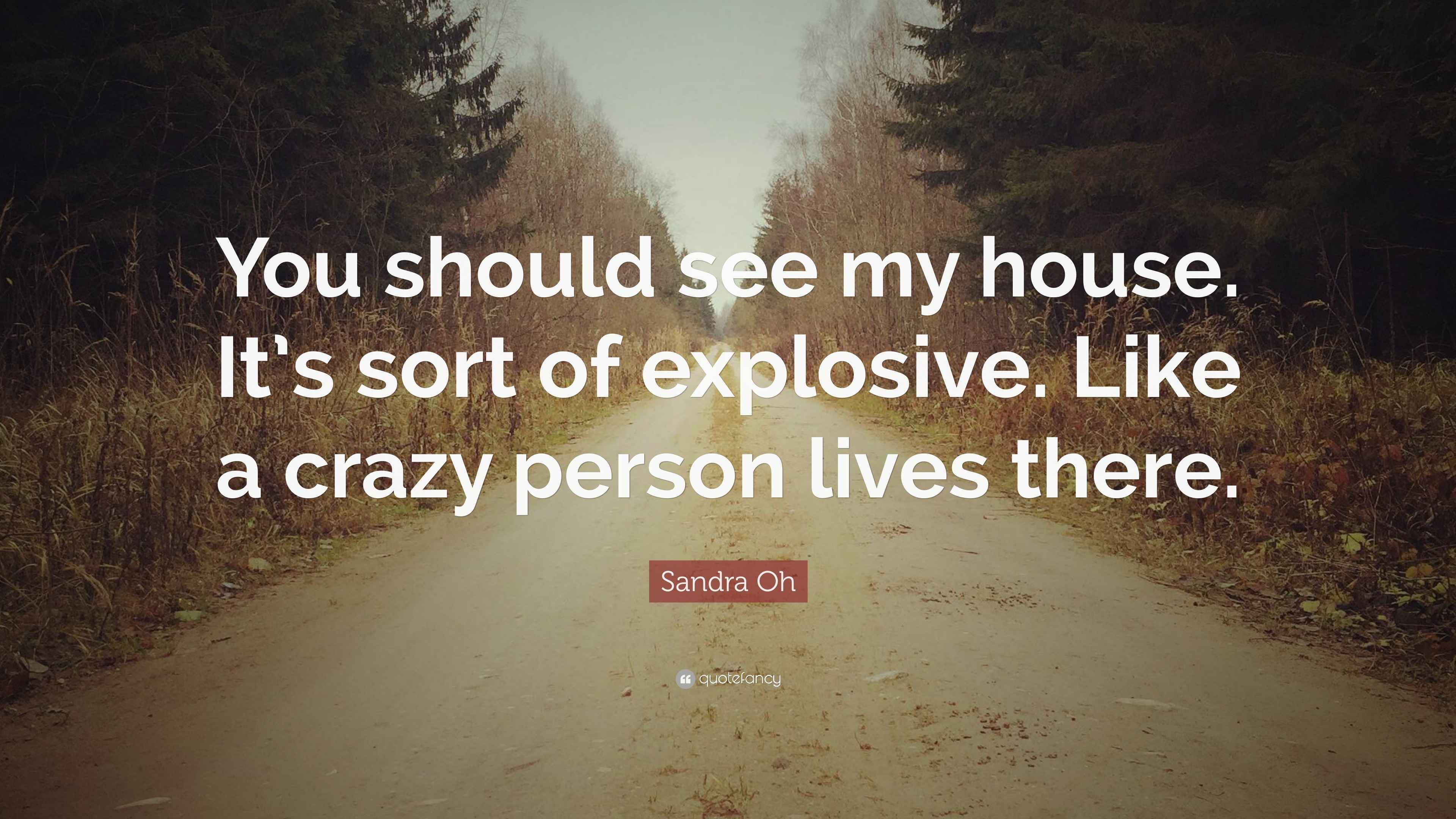 Sandra Oh Quote: “You should see my house. It’s sort of explosive. Like ...