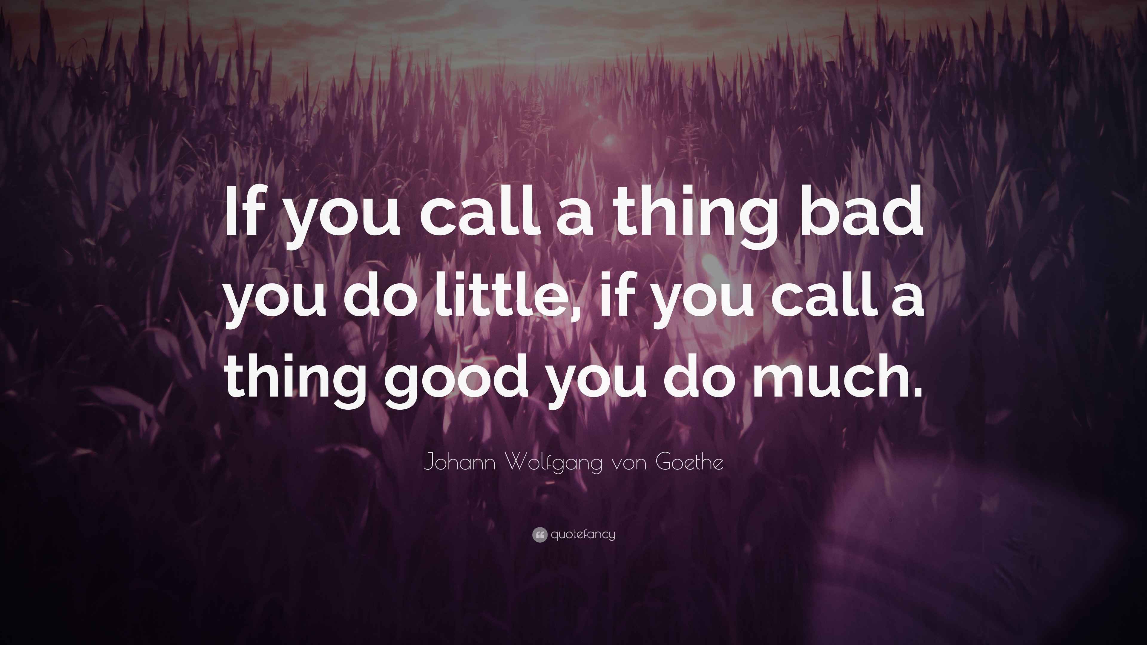 Johann Wolfgang von Goethe Quote: “If you call a thing bad you do ...